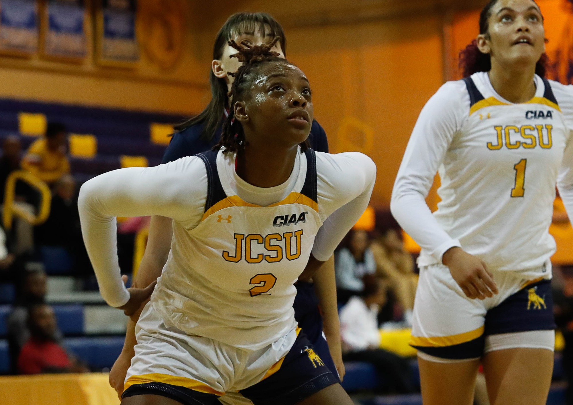 Alexis Daley-Ellis - Women's Basketball - Johnson C. Smith University ...