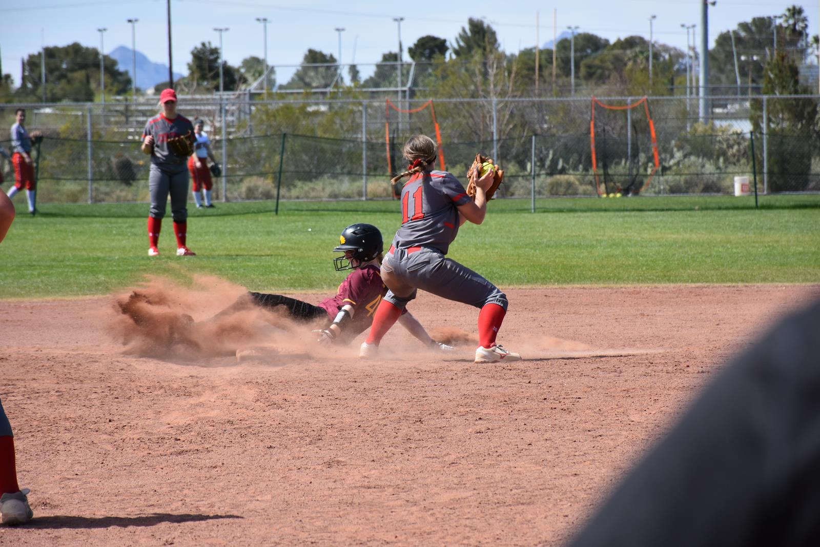 Hailey Fitzpatrick - 2017 - Softball - University of Minnesota ...