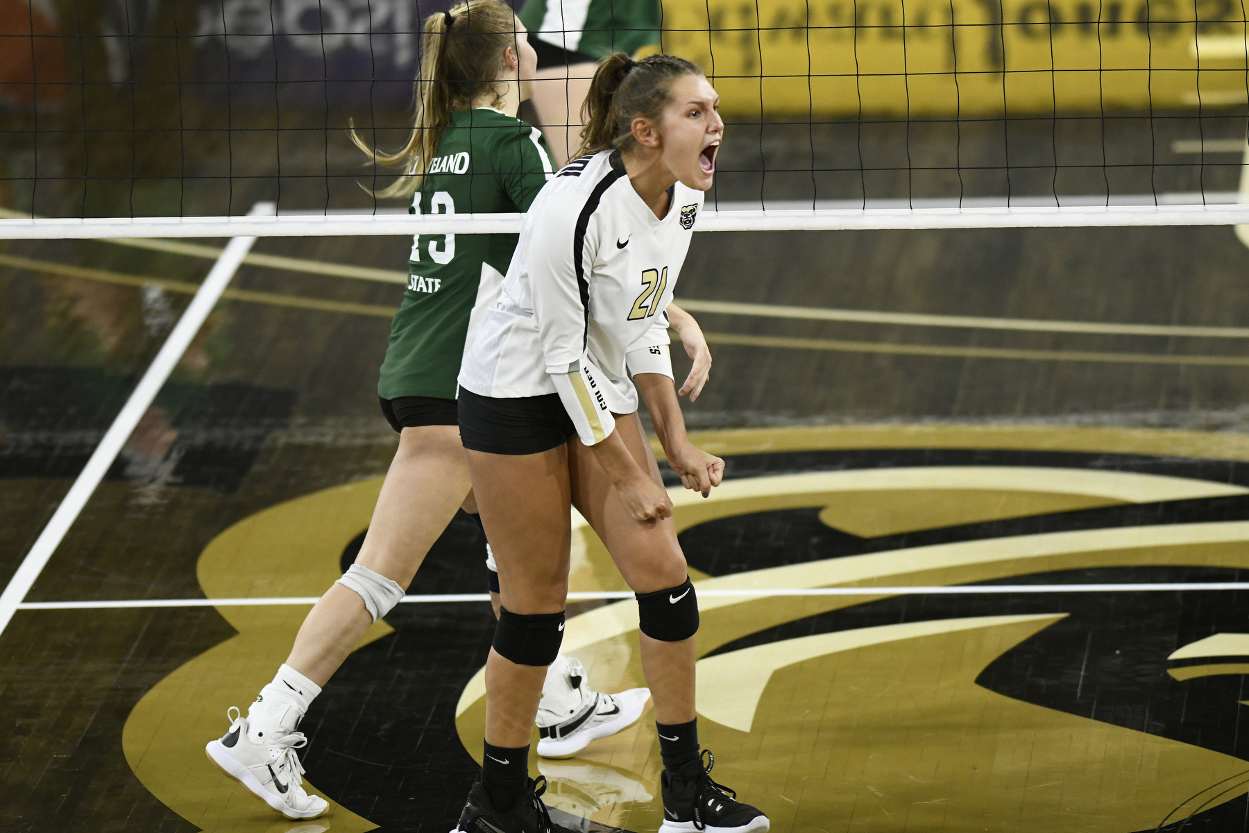 Patti Cesarini - Women's Volleyball - Oakland University Athletics