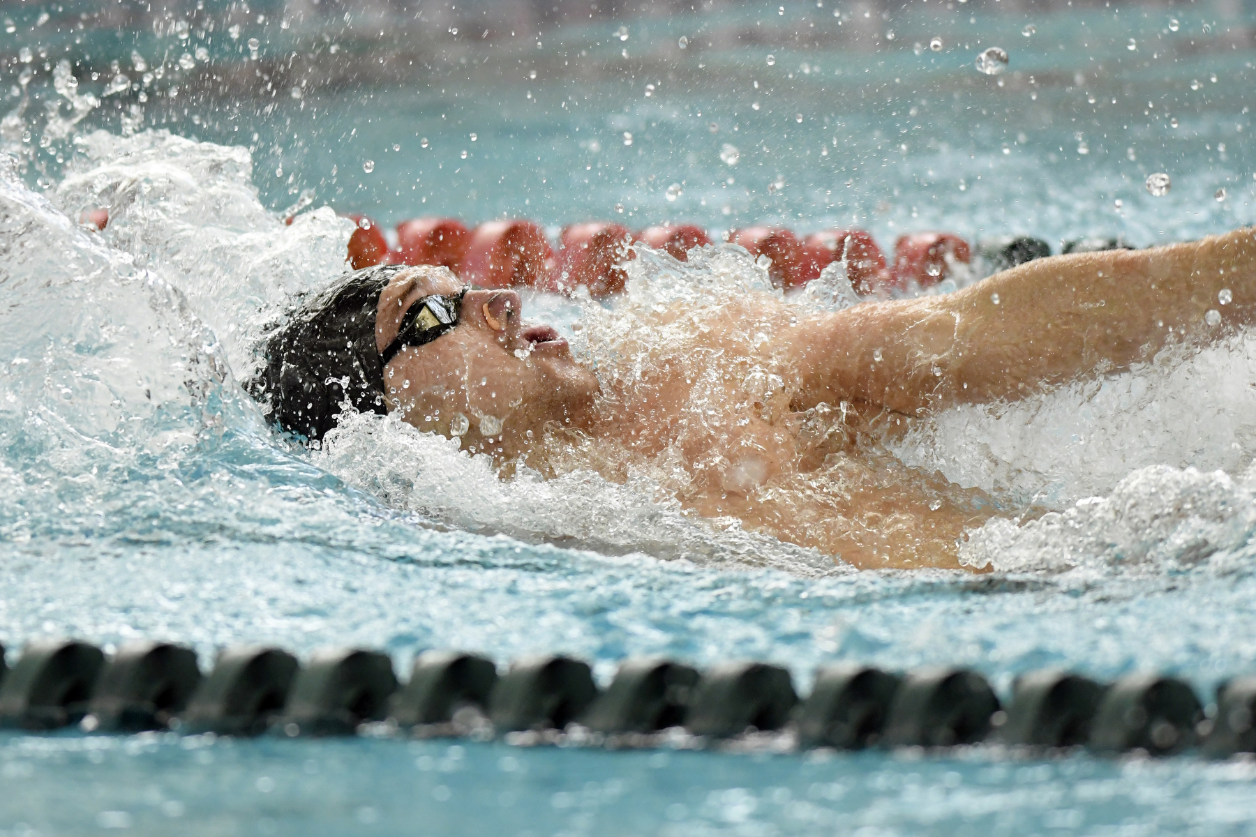 SWIM AND DIVE HOSTS GRAND VALLEY STATE AND UIC - Oakland University ...