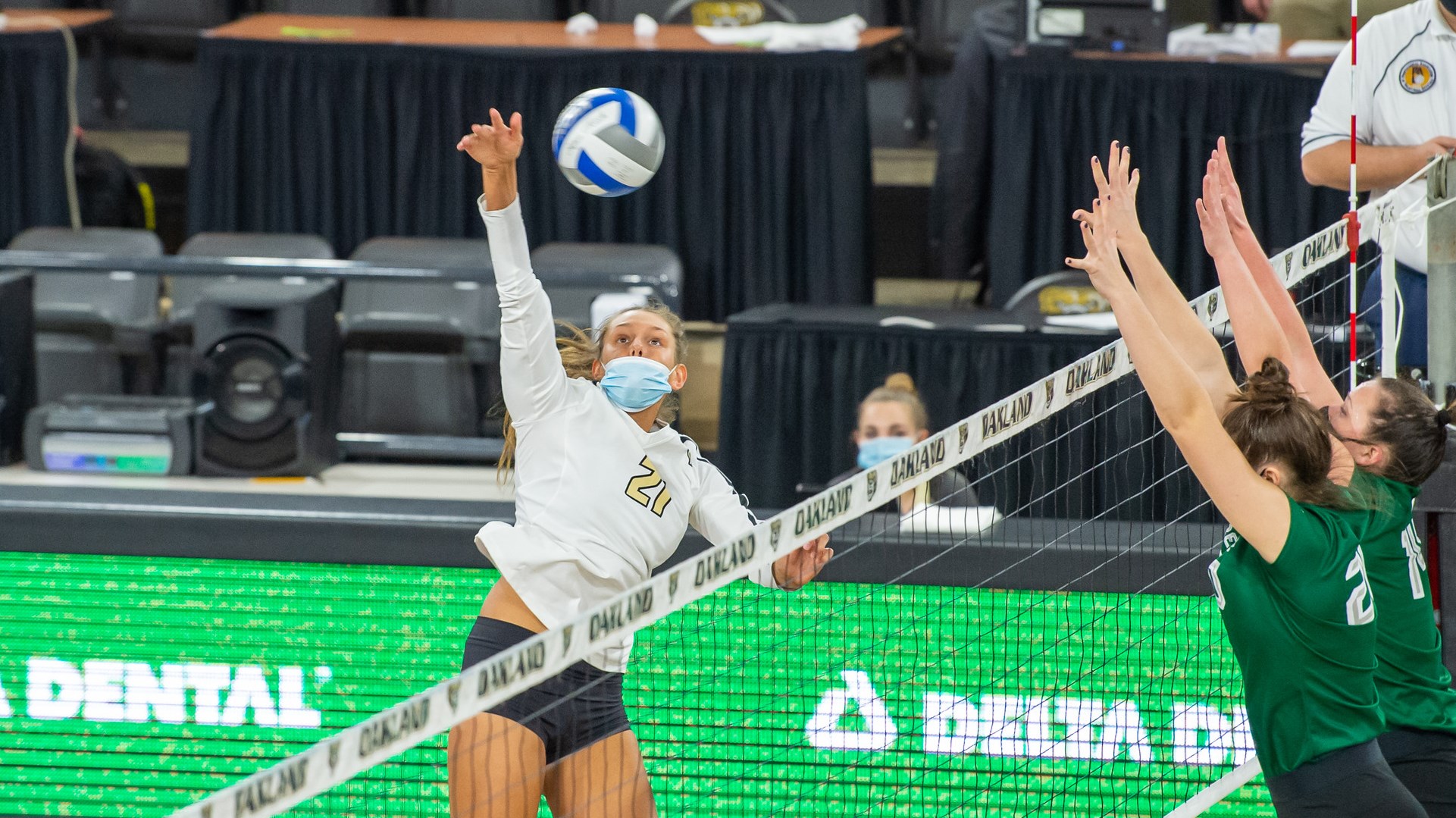 Patti Cesarini - Women's Volleyball - Oakland University Athletics