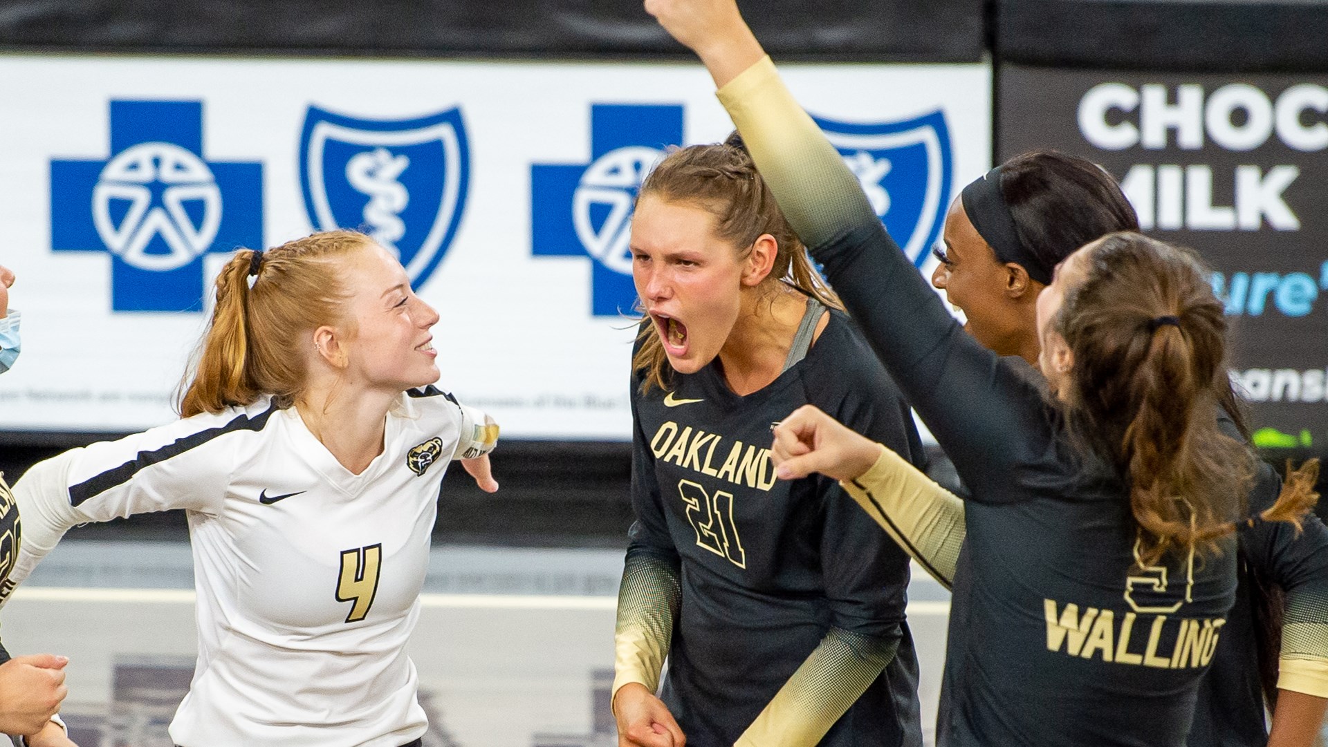 Patti Cesarini - Women's Volleyball - Oakland University Athletics