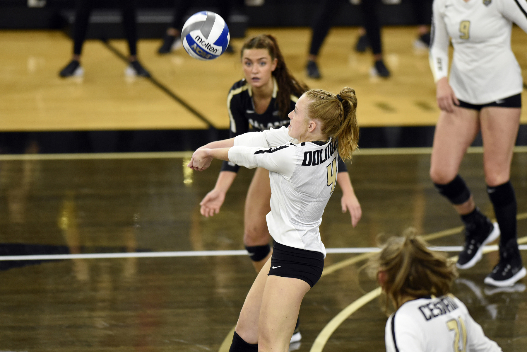 Kennedy Dolmage - Women's Volleyball - Oakland University Athletics