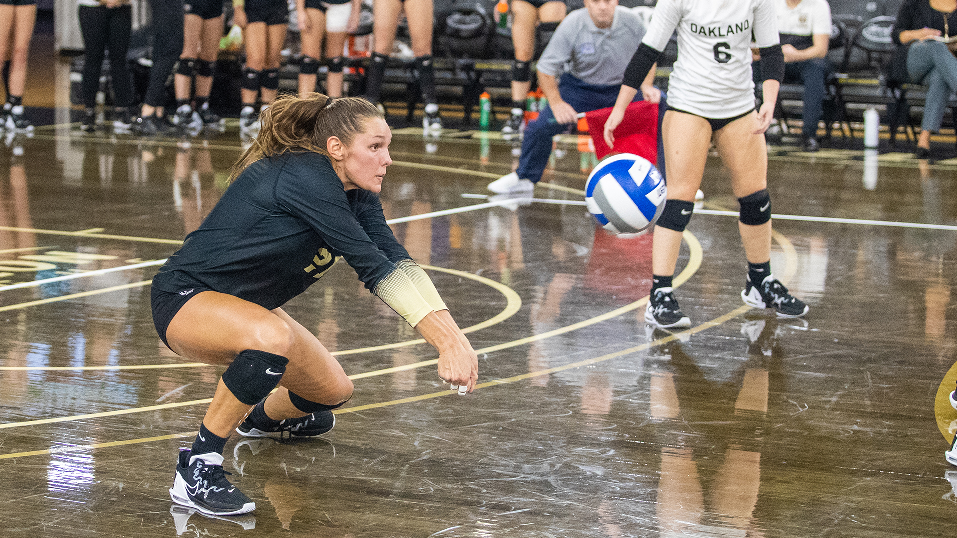 Patti Cesarini - Women's Volleyball - Oakland University Athletics