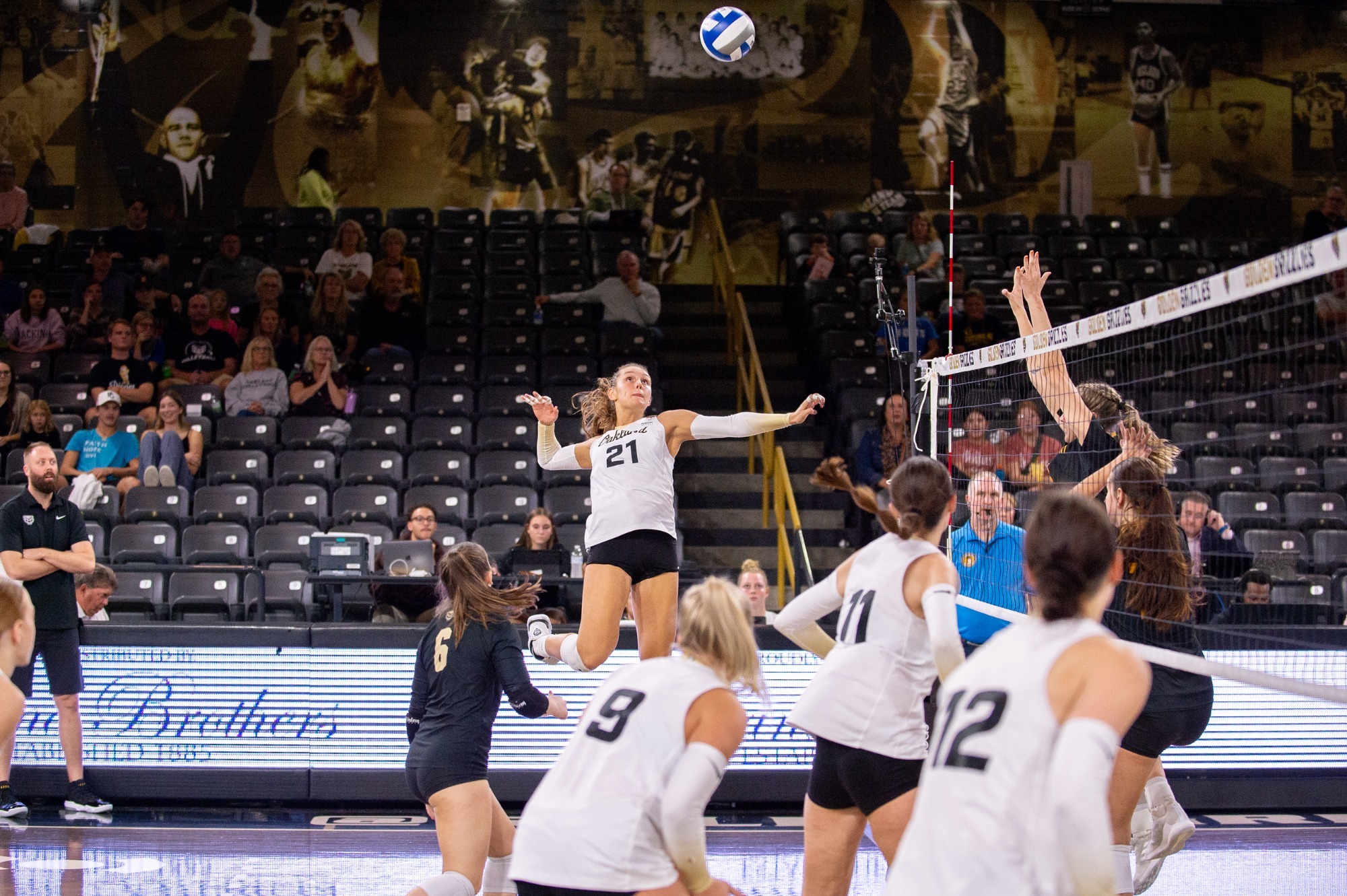 Patti Cesarini - Women's Volleyball - Oakland University Athletics