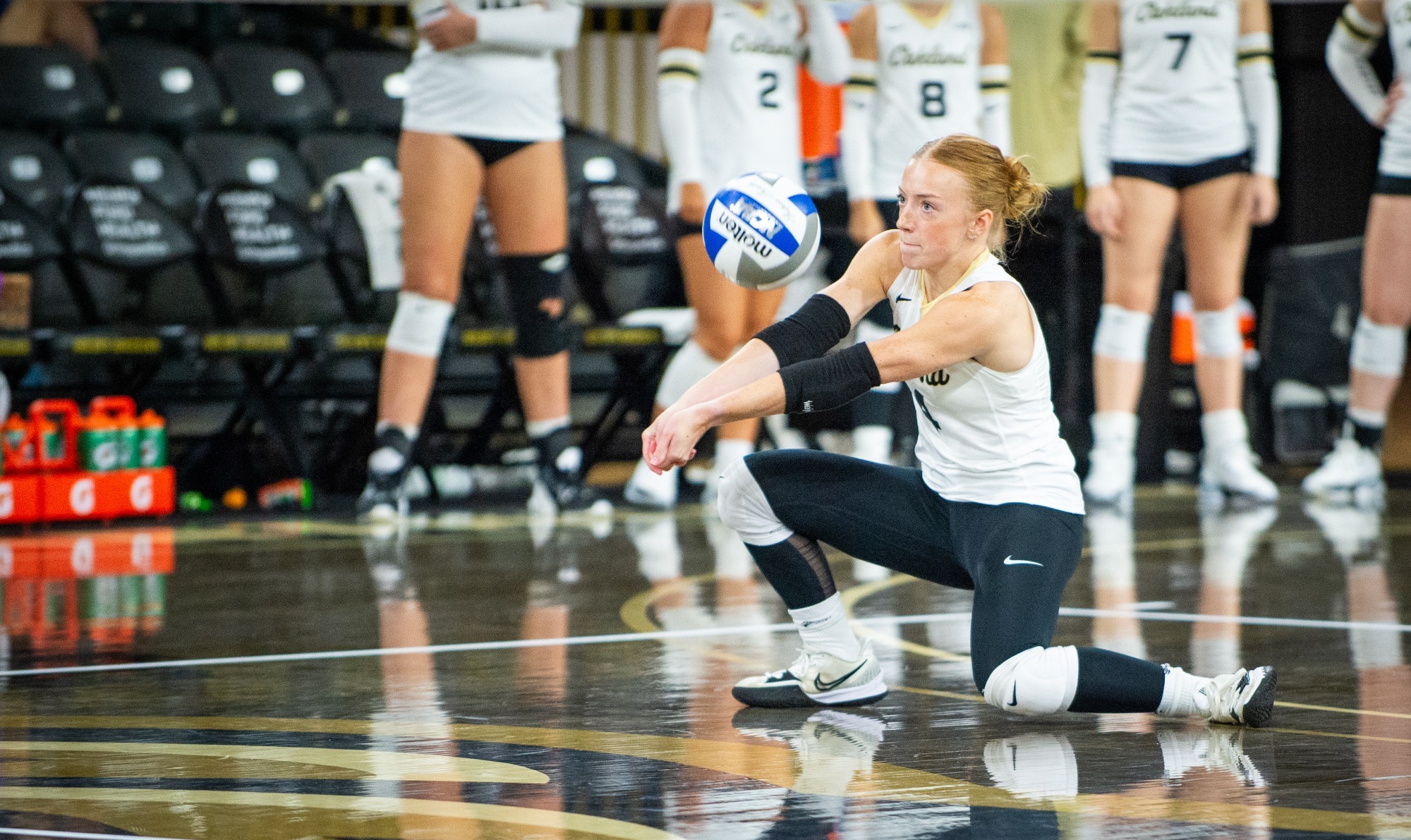 Kennedy Dolmage - Women's Volleyball - Oakland University Athletics