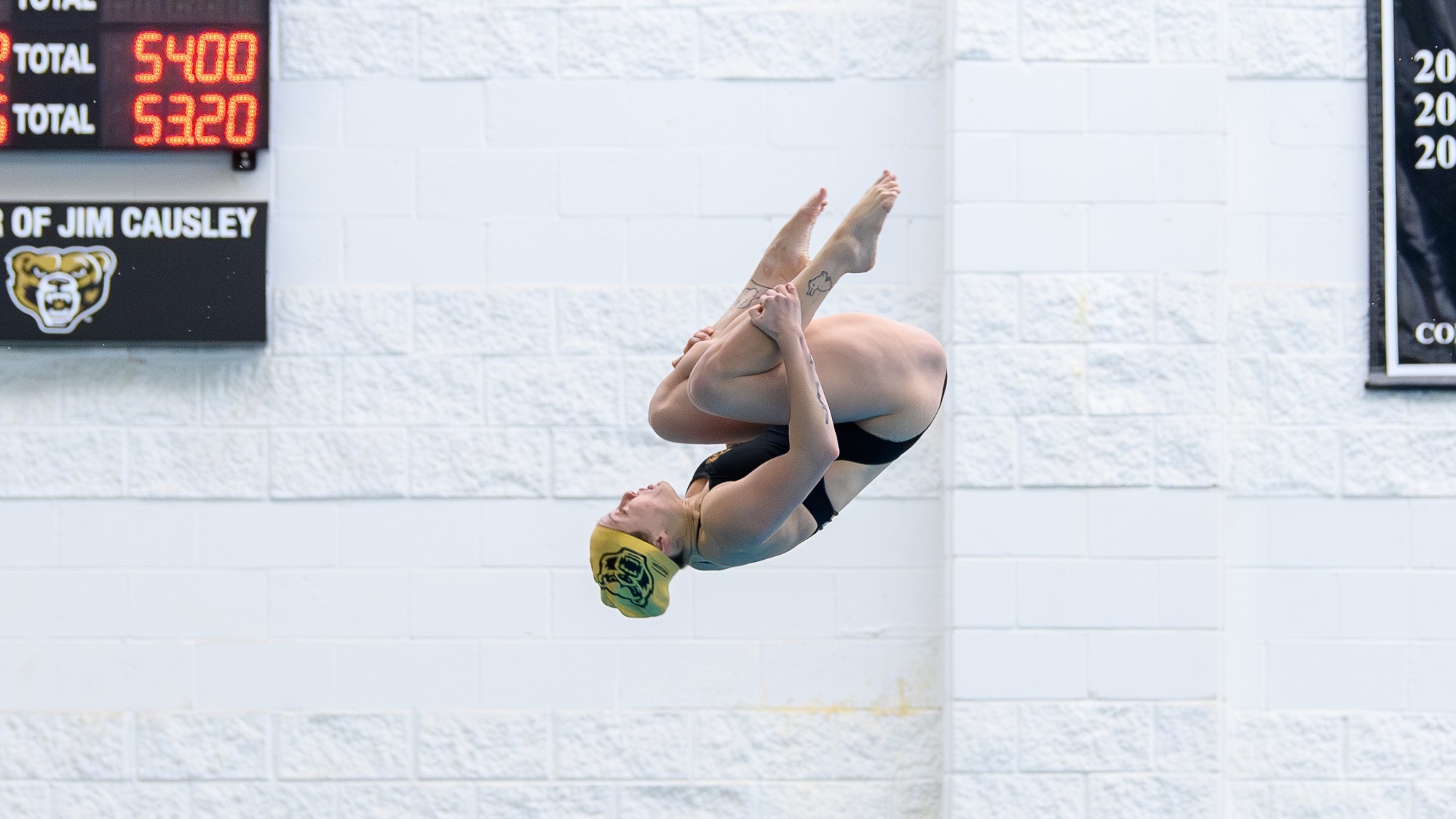 Women's Diving Returns from NCAA Zones Diving Competition - Oakland ...