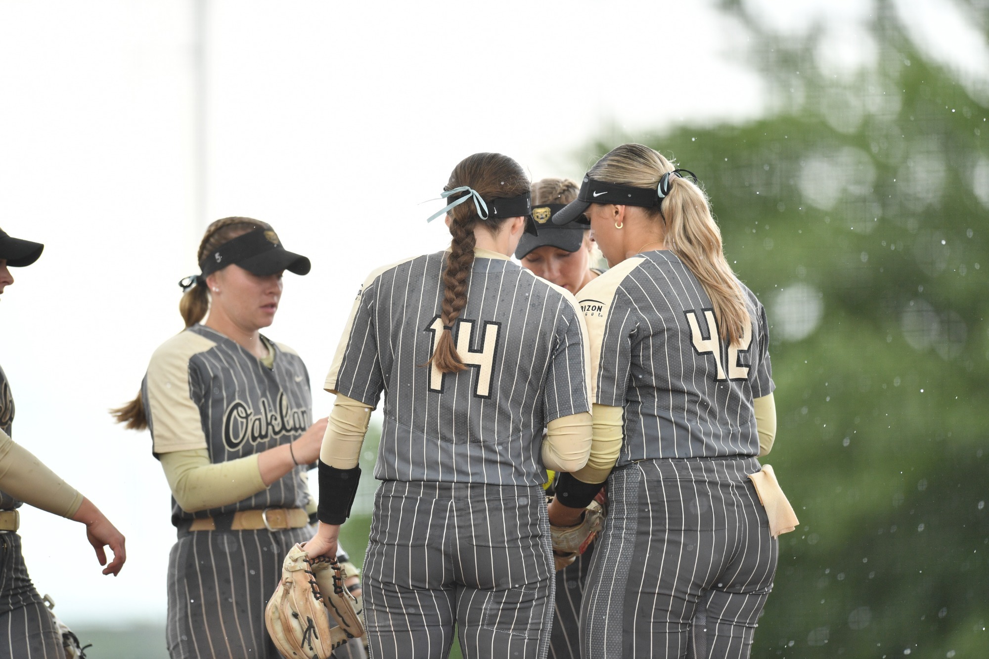 2024 Softball Schedule Revealed - Oakland University Athletics