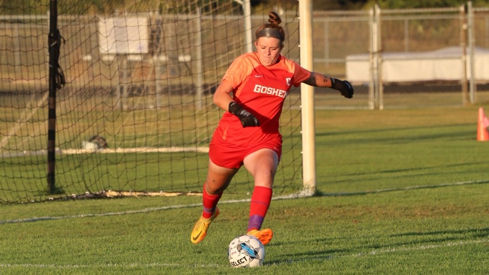 Yvonne Strahovski Personal Life