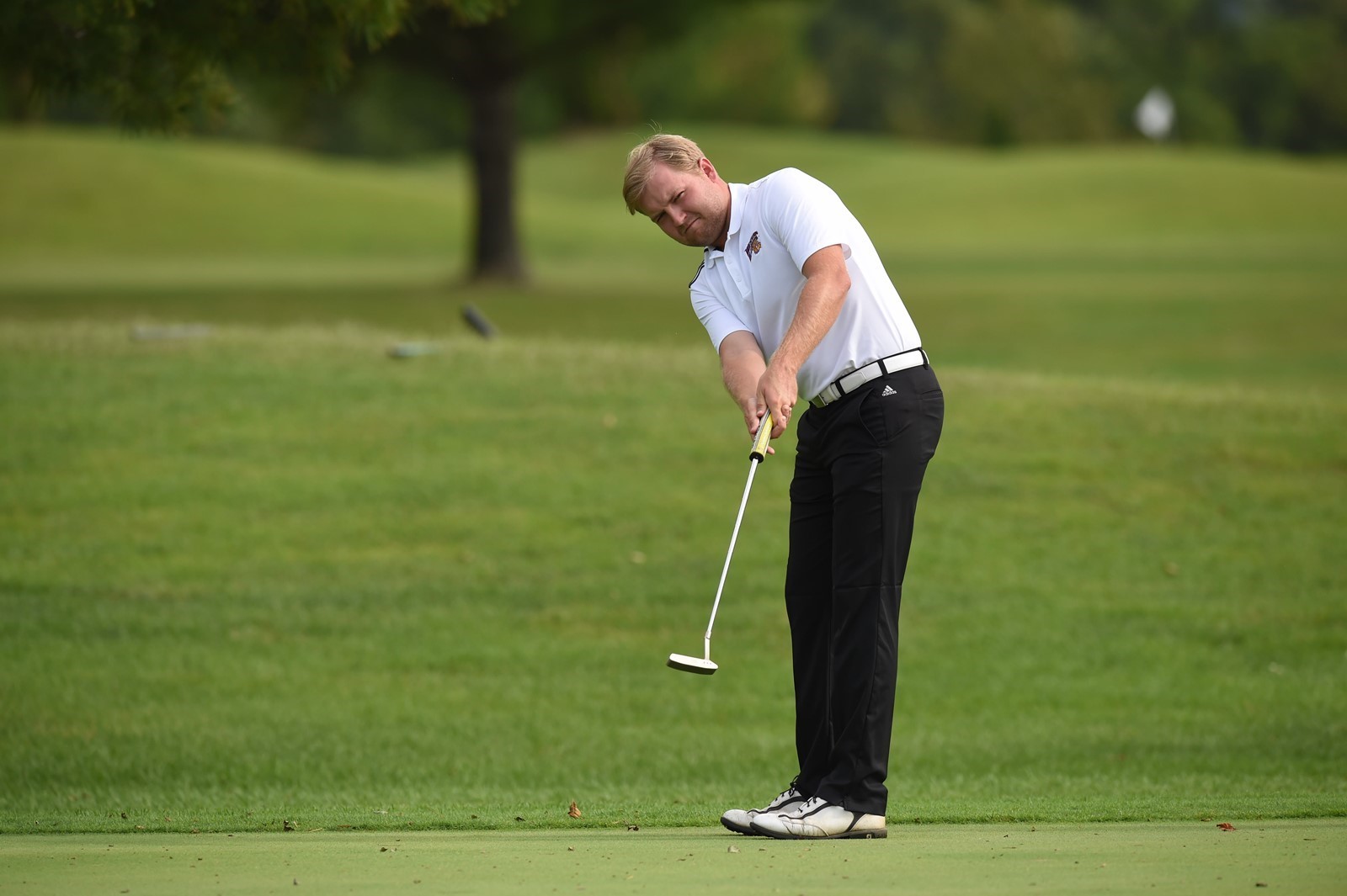 Carter Morrison - Men's Golf - Western Illinois University Athletics