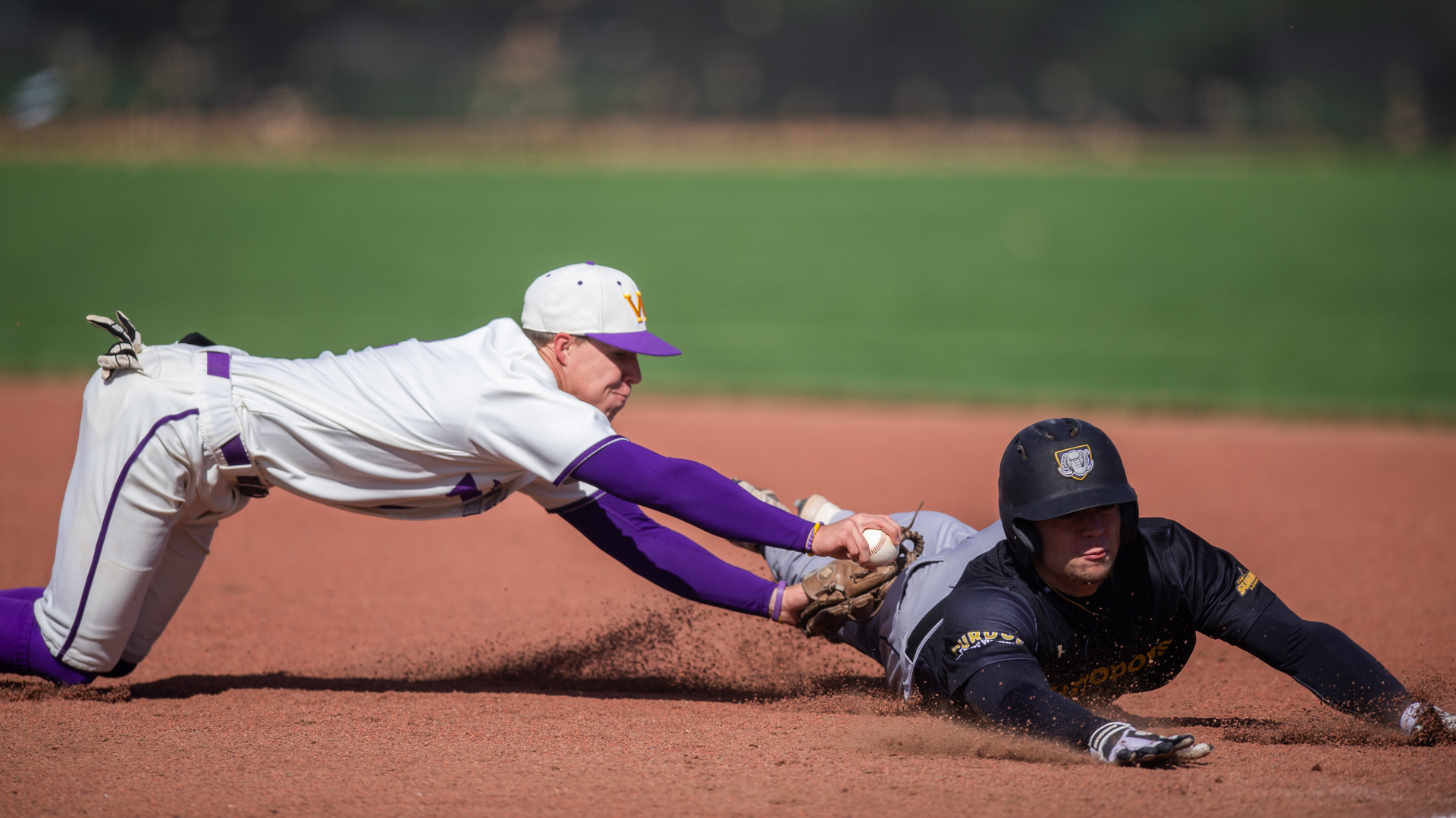 Dillon Sears - Baseball - Western Illinois University Athletics