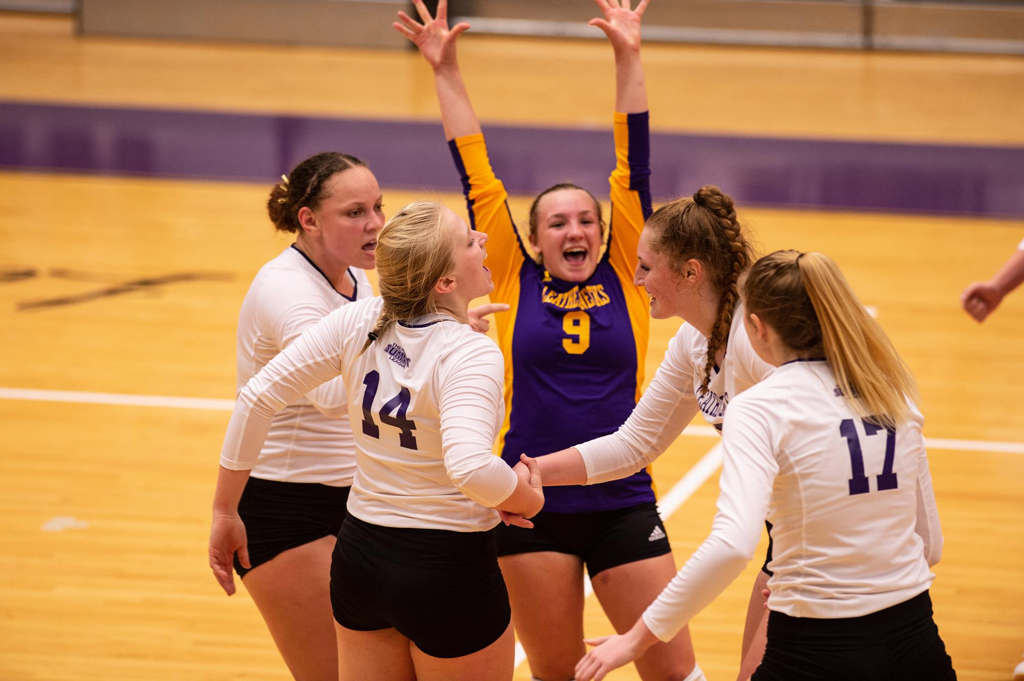 Gabby DePersio - Women's Volleyball - Western Illinois University Athletics