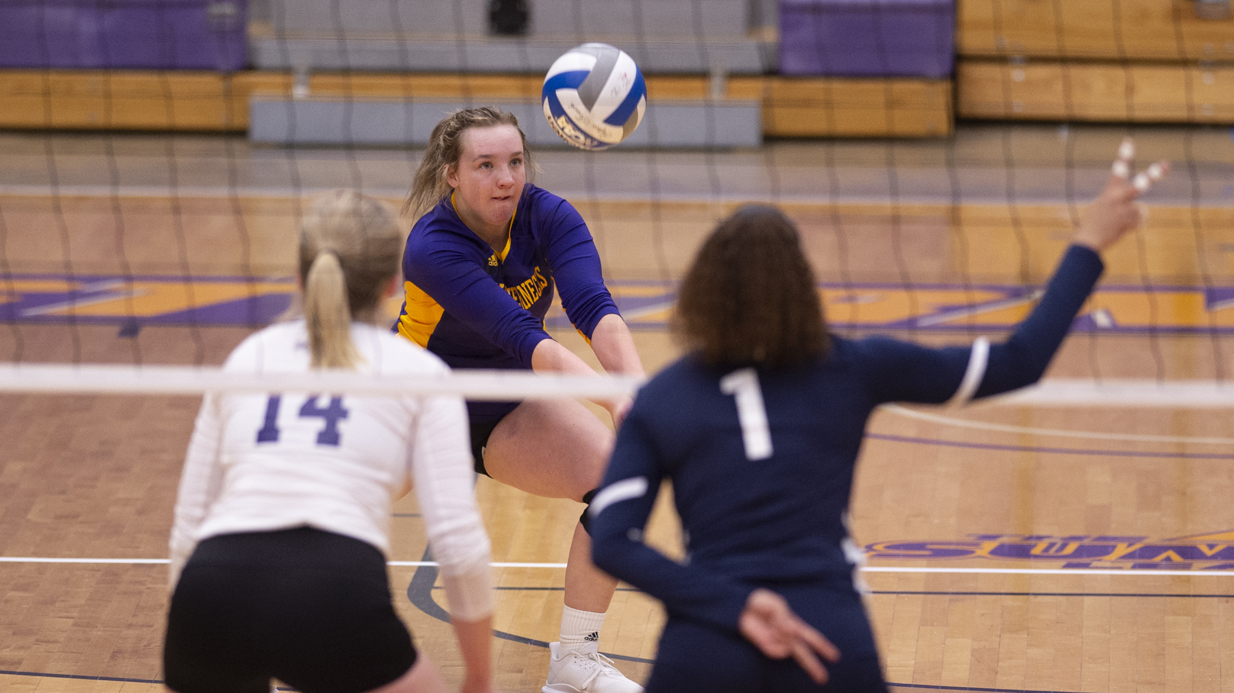 Gabby DePersio - Women's Volleyball - Western Illinois University Athletics