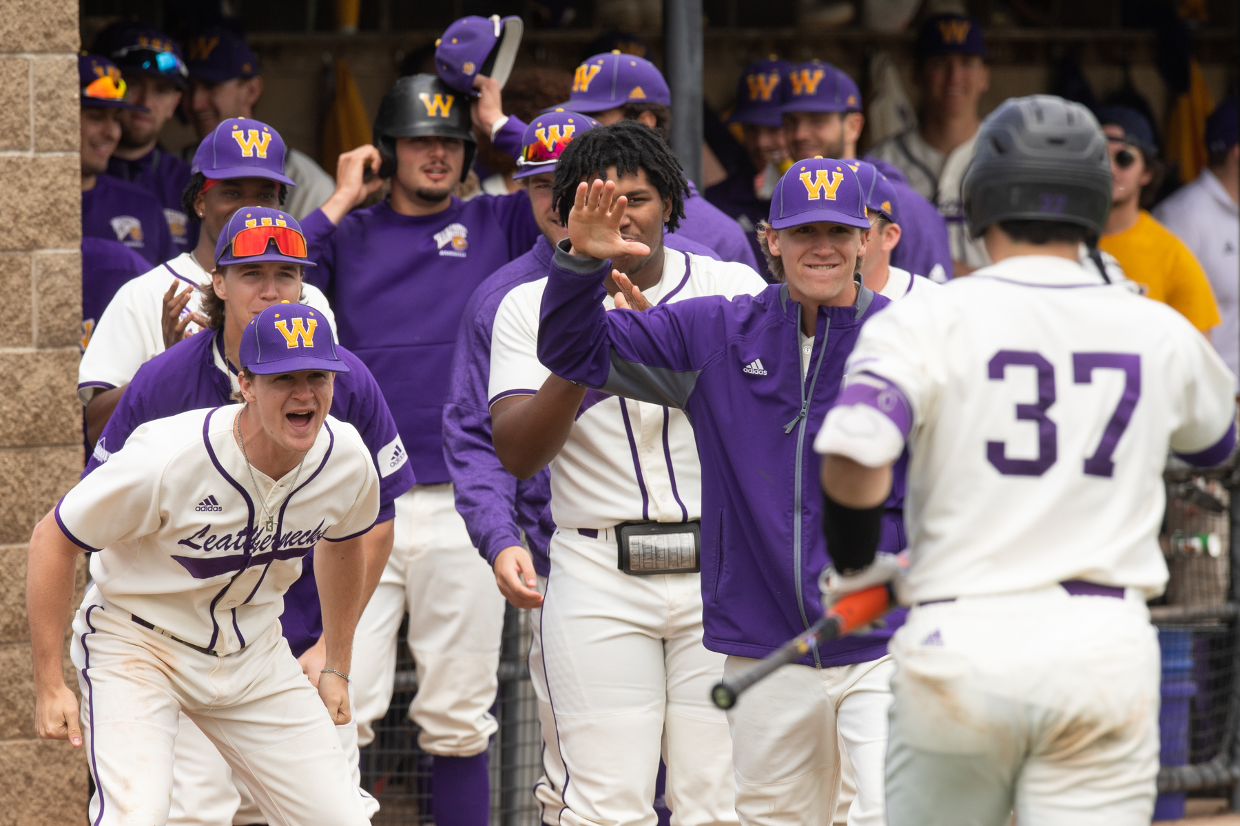 Ending with a 'W' - Western Illinois University Athletics