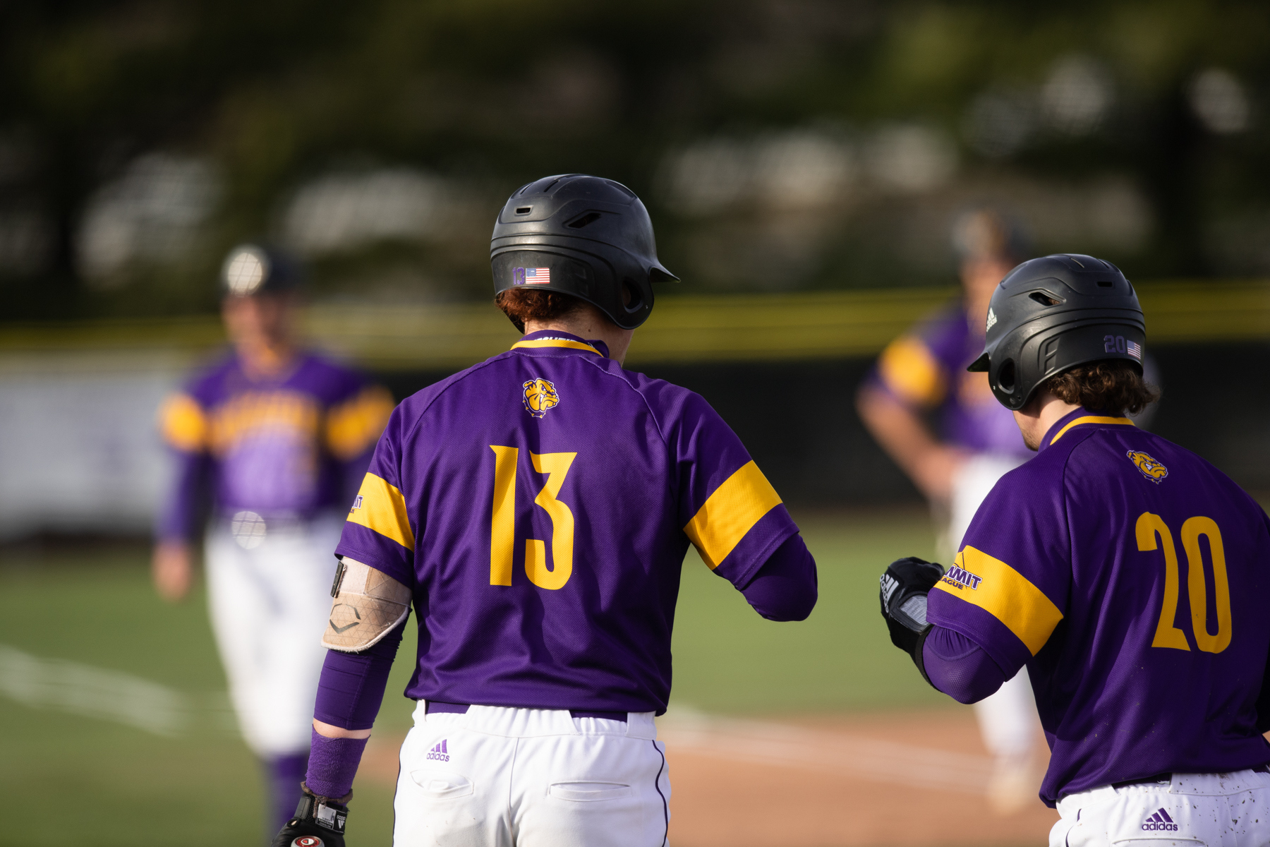 Nick Mitchell - Baseball - Western Illinois University Athletics