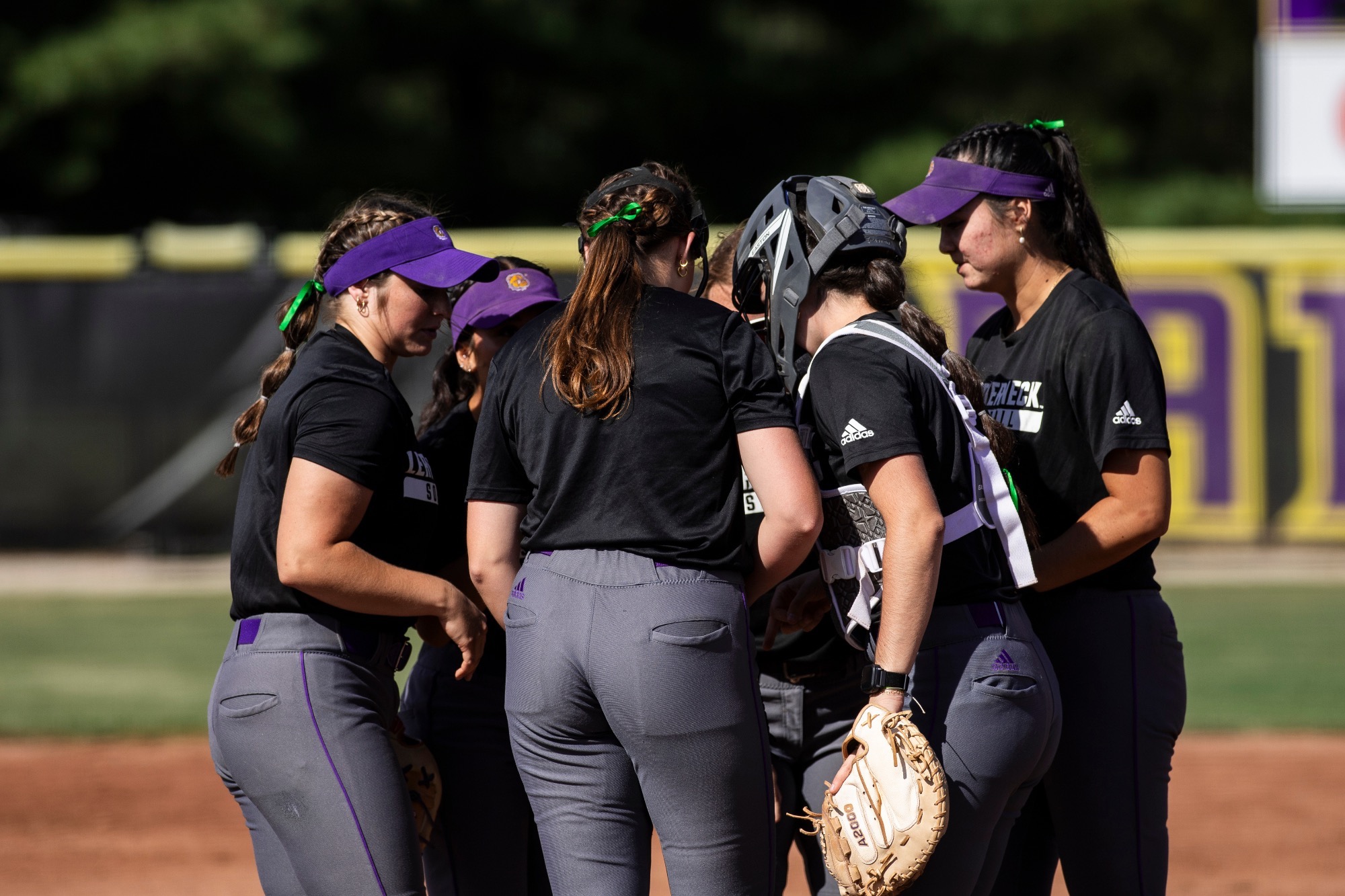 Western Illinois Softball Reveals 2025 Schedule - Western Illinois ...