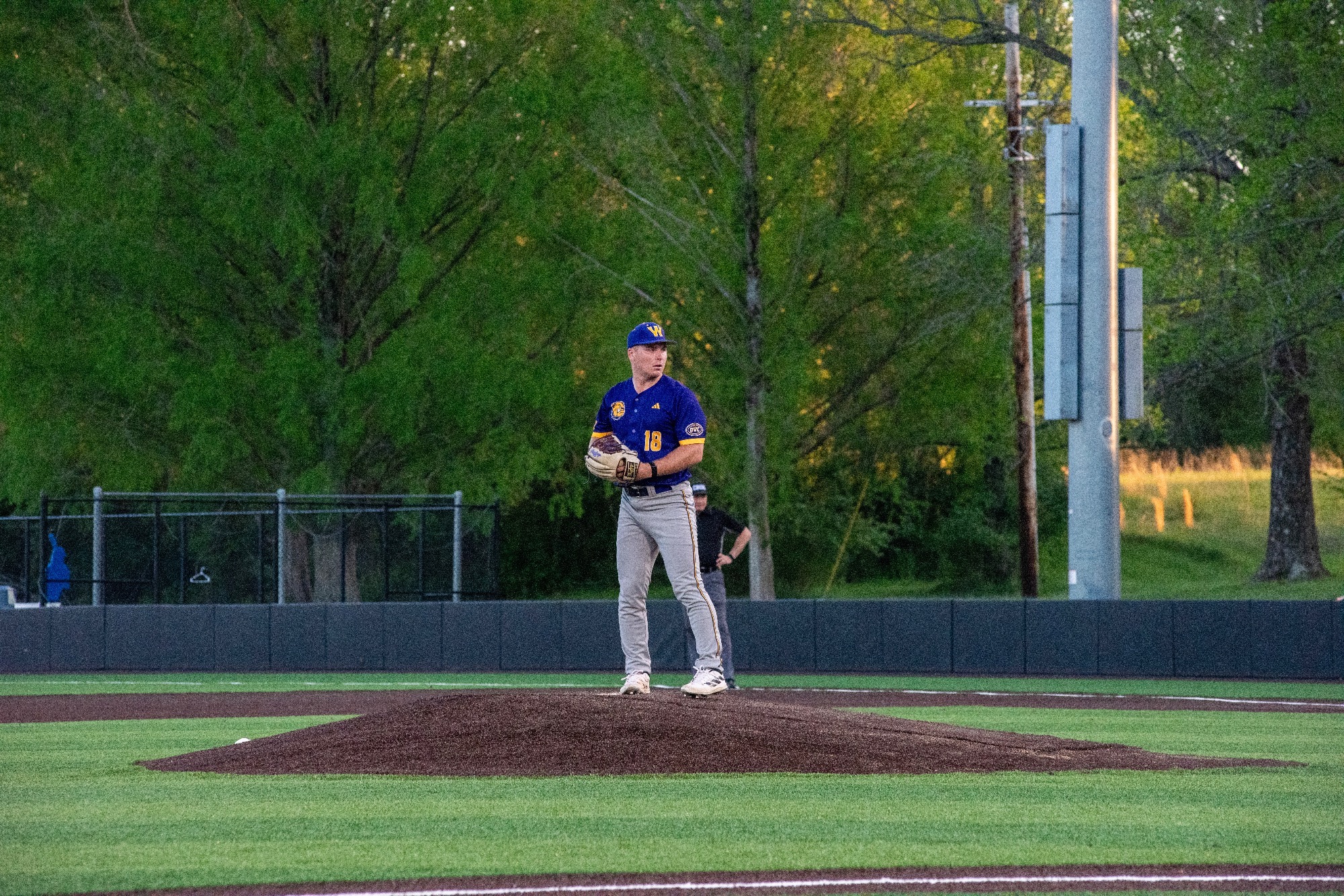 WIU Falls in 12 inning Marathon - Western Illinois University Athletics