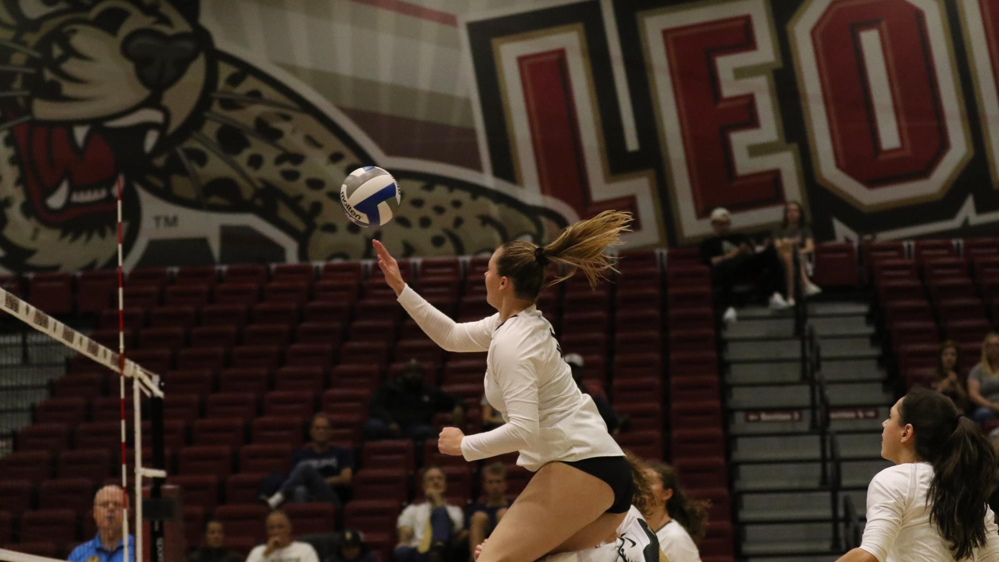 Kelly Austin - Women's Volleyball - Lafayette College Athletics