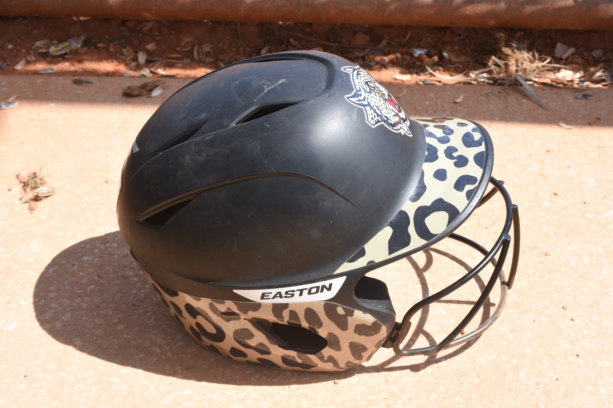 Leopard Softball Opens Spring Break vs. Iona and LIU - Lafayette ...