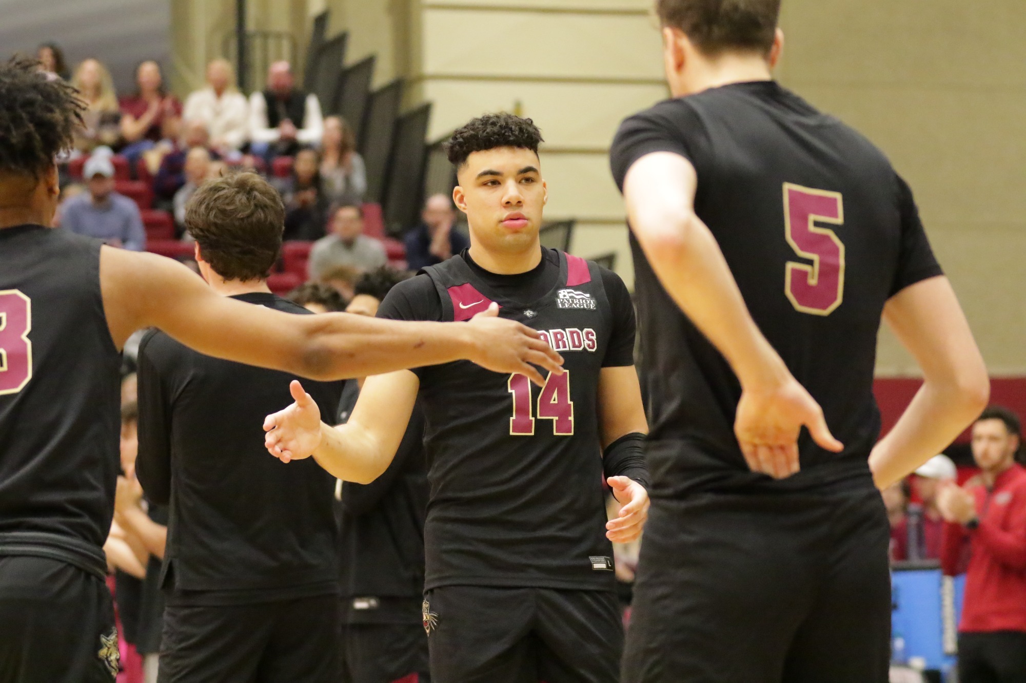 Kyle Jenkins - Men's Basketball - Lafayette College Athletics