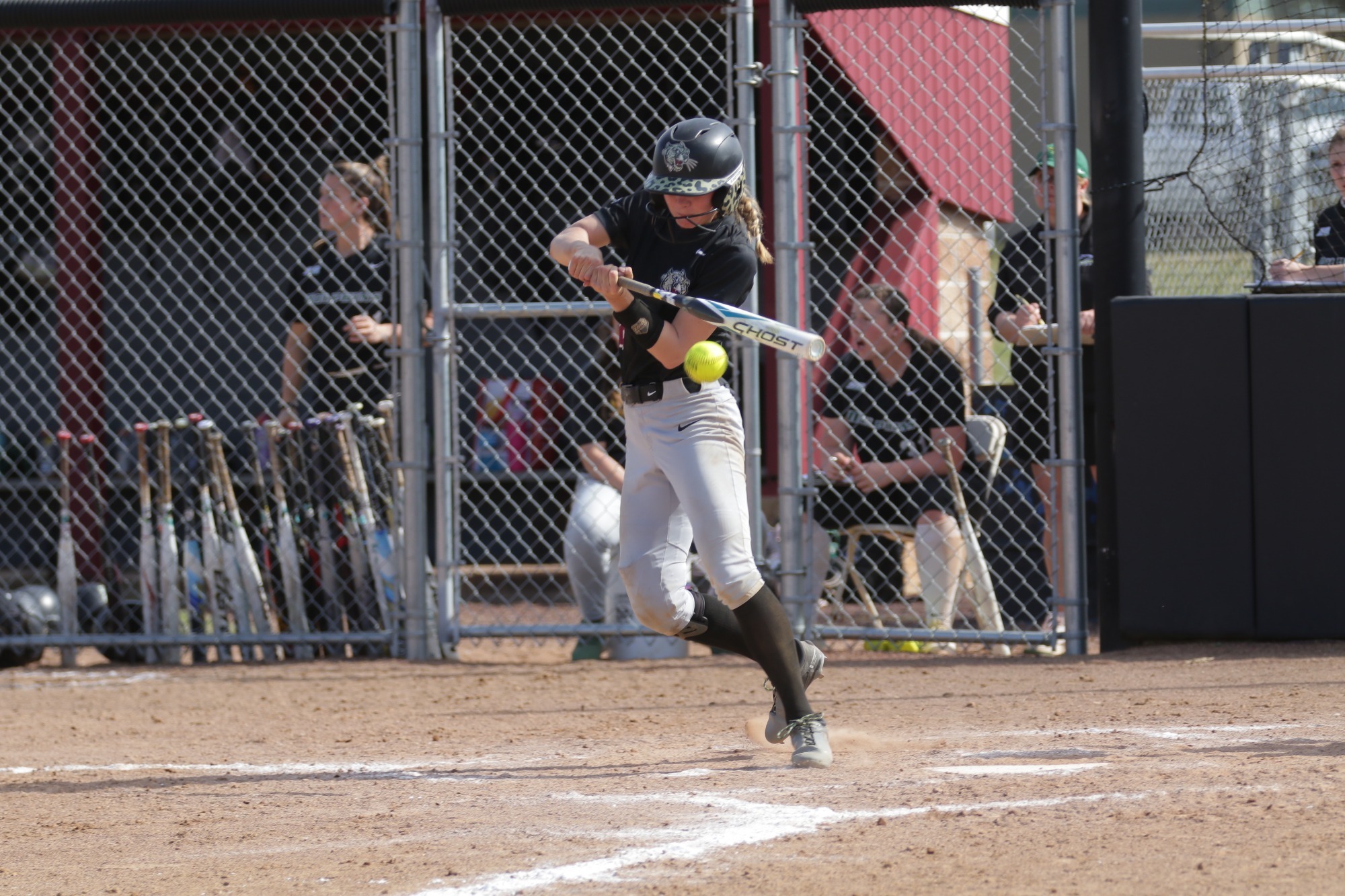 Leopard Softball Edged by Purdue Fort Wayne - Lafayette College Athletics