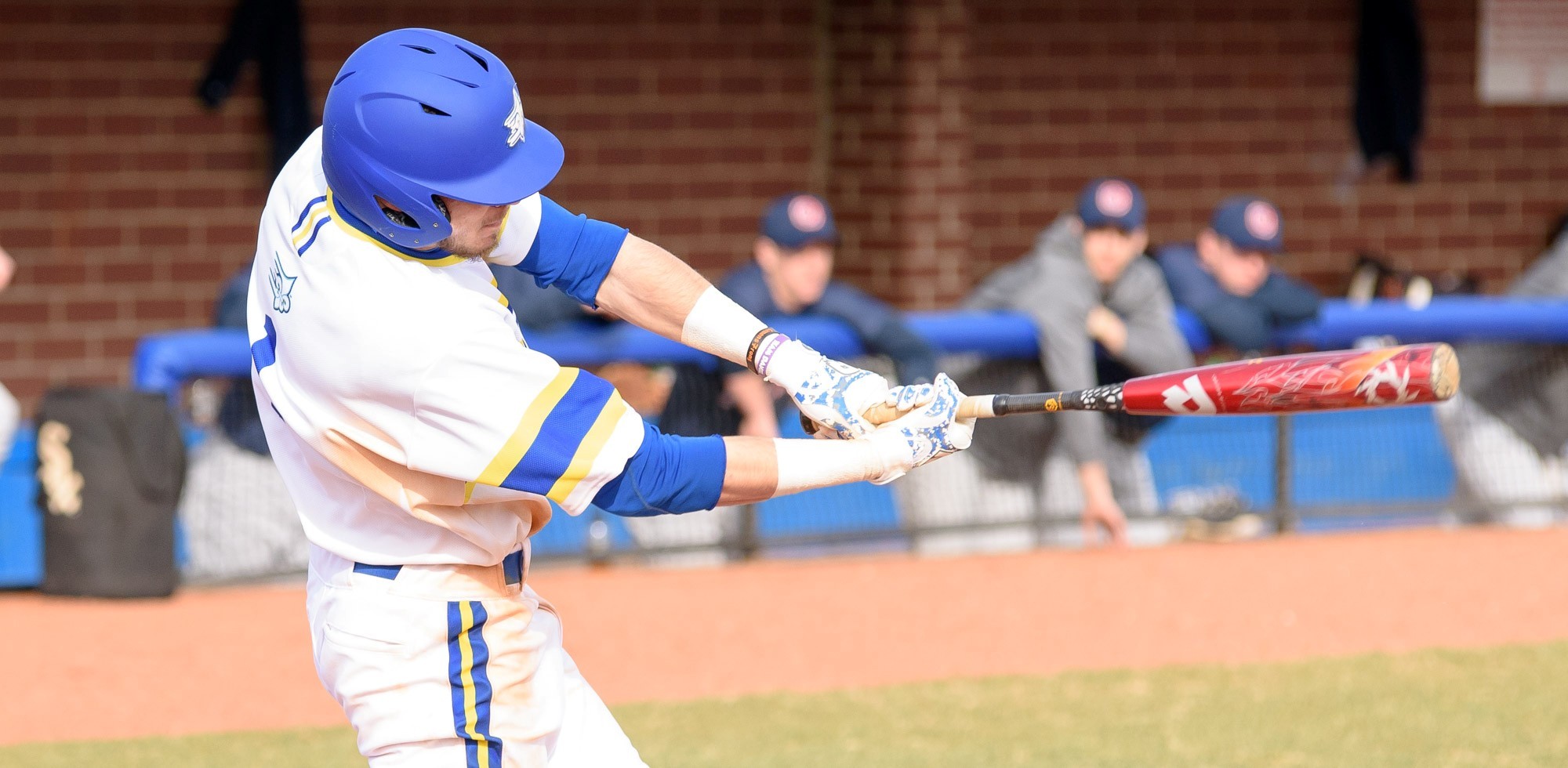 Chris Scura - Baseball - Limestone University Athletics