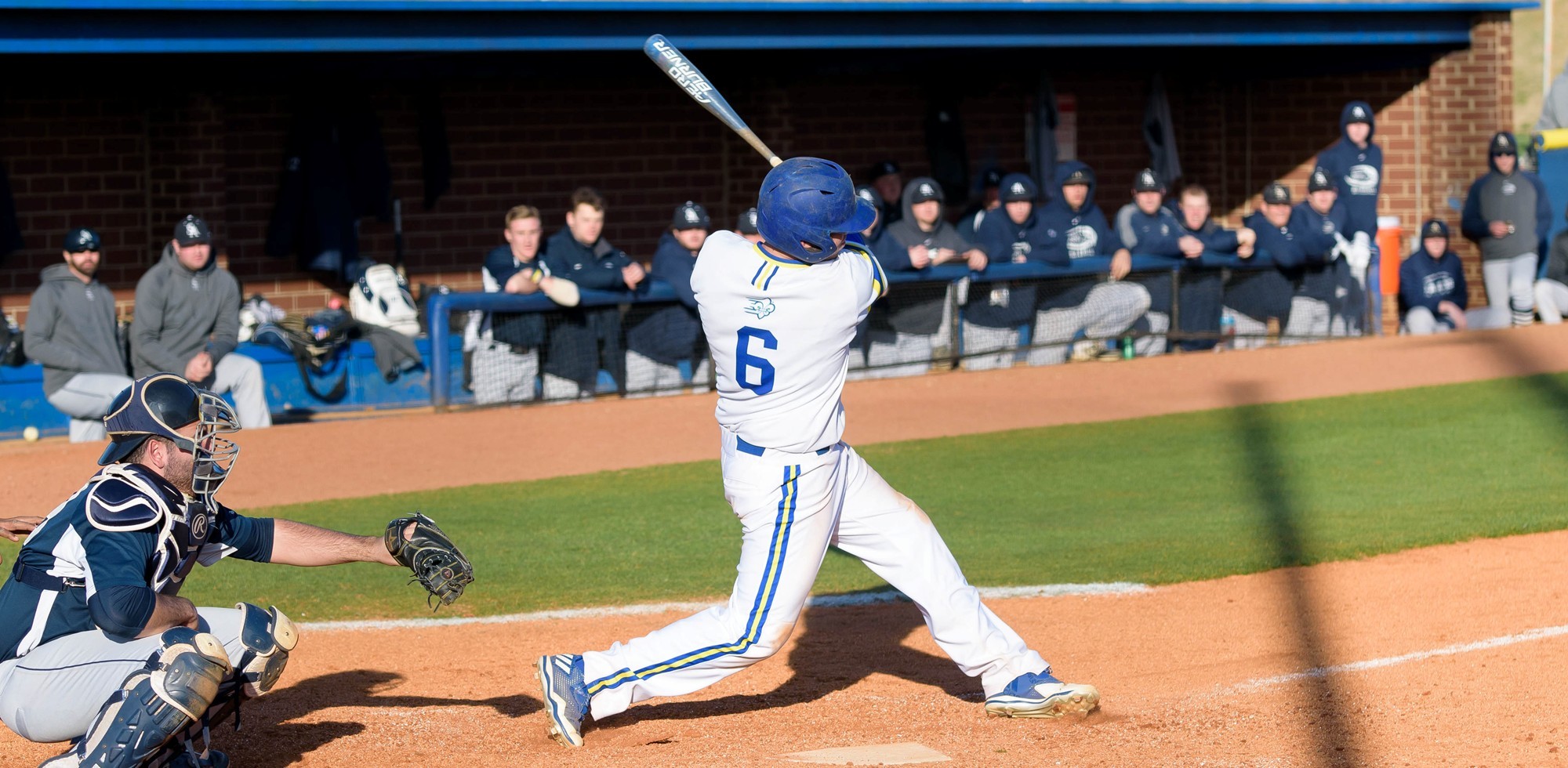 Zach Piazza - Baseball - Limestone University Athletics