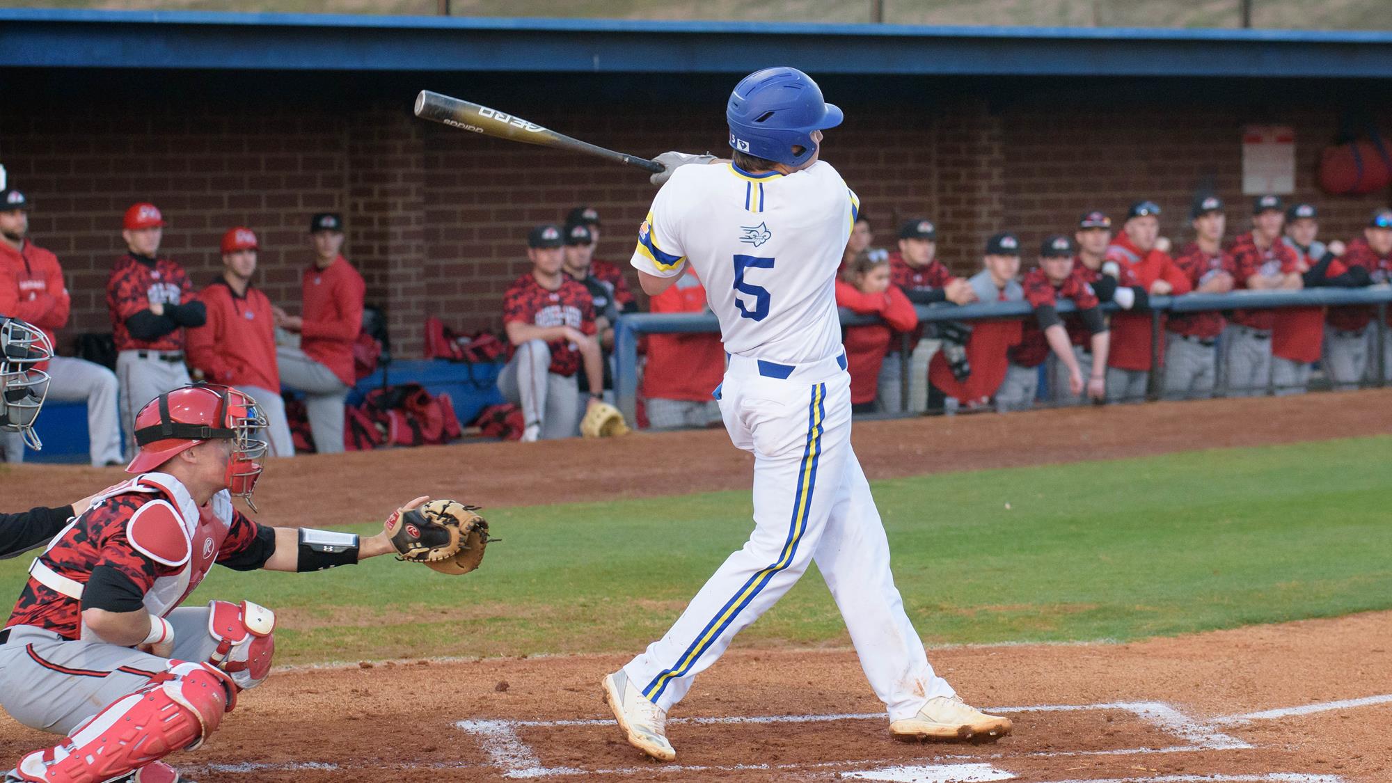 Chase Allen - Baseball - Limestone University Athletics