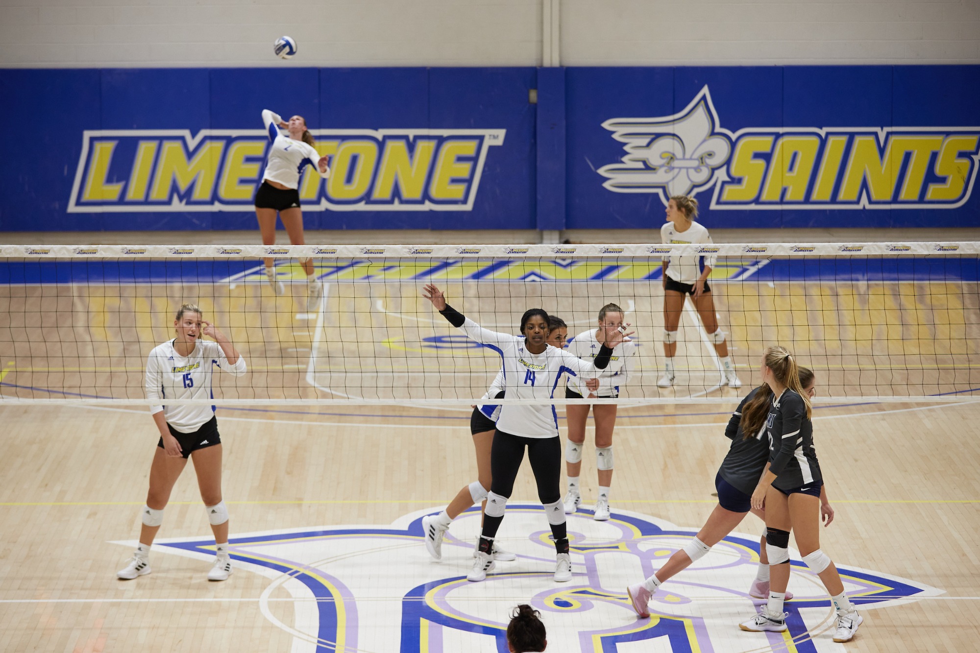 Saints Fall 3-0 to Tusculum - Limestone University Athletics