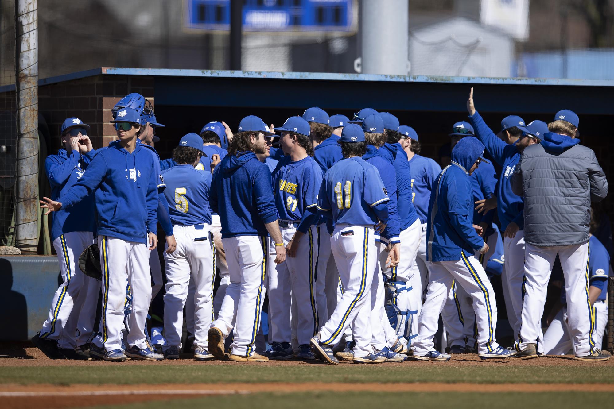 Saints Rally Behind Dominant Pitching Performance - Limestone ...