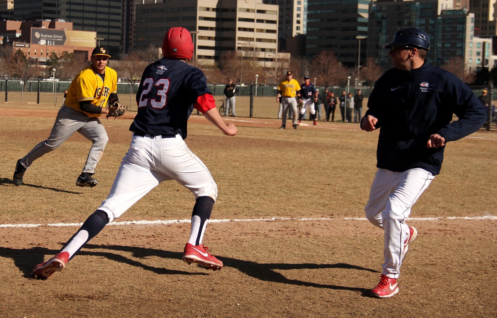Sean Reeves - Baseball - MSU Denver Athletics