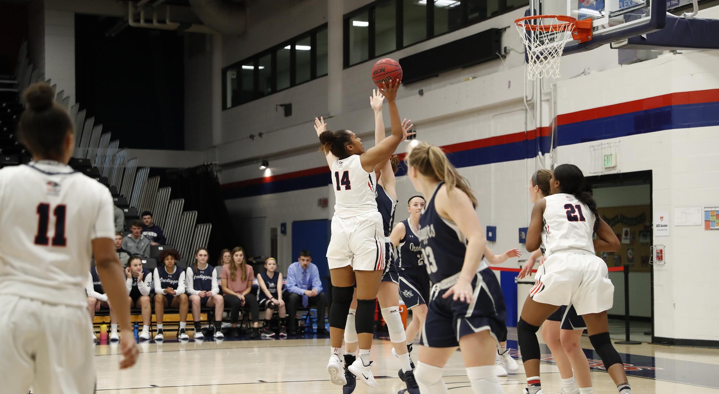 Losalini Katia - Women's Basketball - MSU Denver Athletics