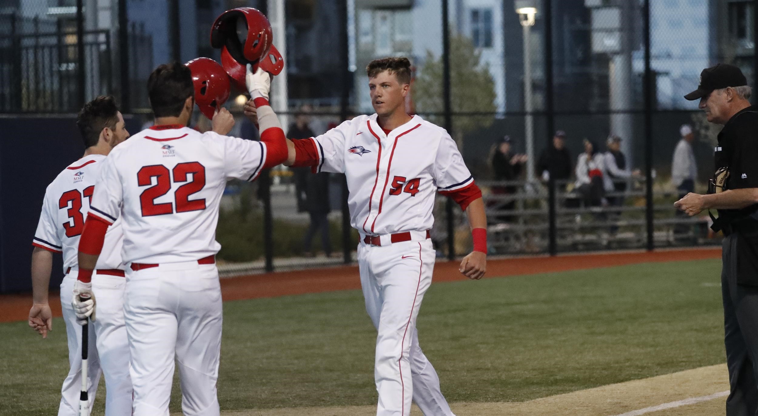 Matt Malkin - Baseball - MSU Denver Athletics