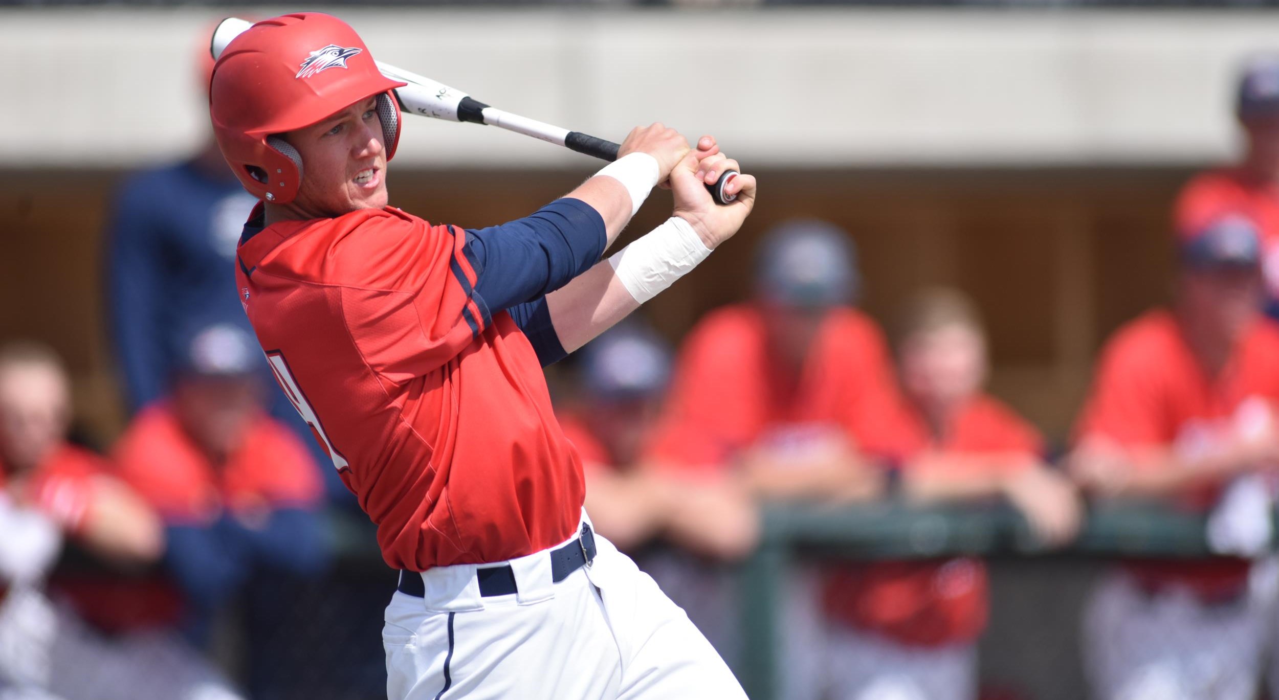 Matt Malkin - Baseball - MSU Denver Athletics