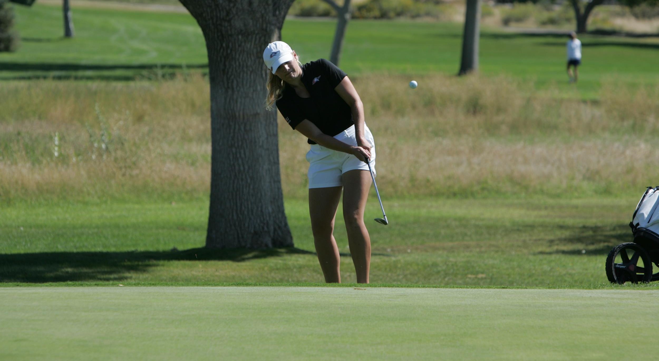 Jennifer Hankins - Women's Golf - MSU Denver Athletics