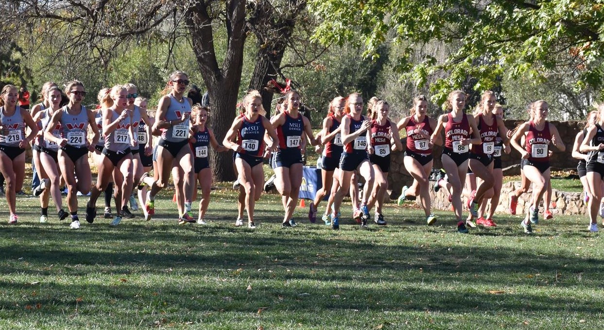 Jenna Howard - Women's Cross Country - MSU Denver Athletics