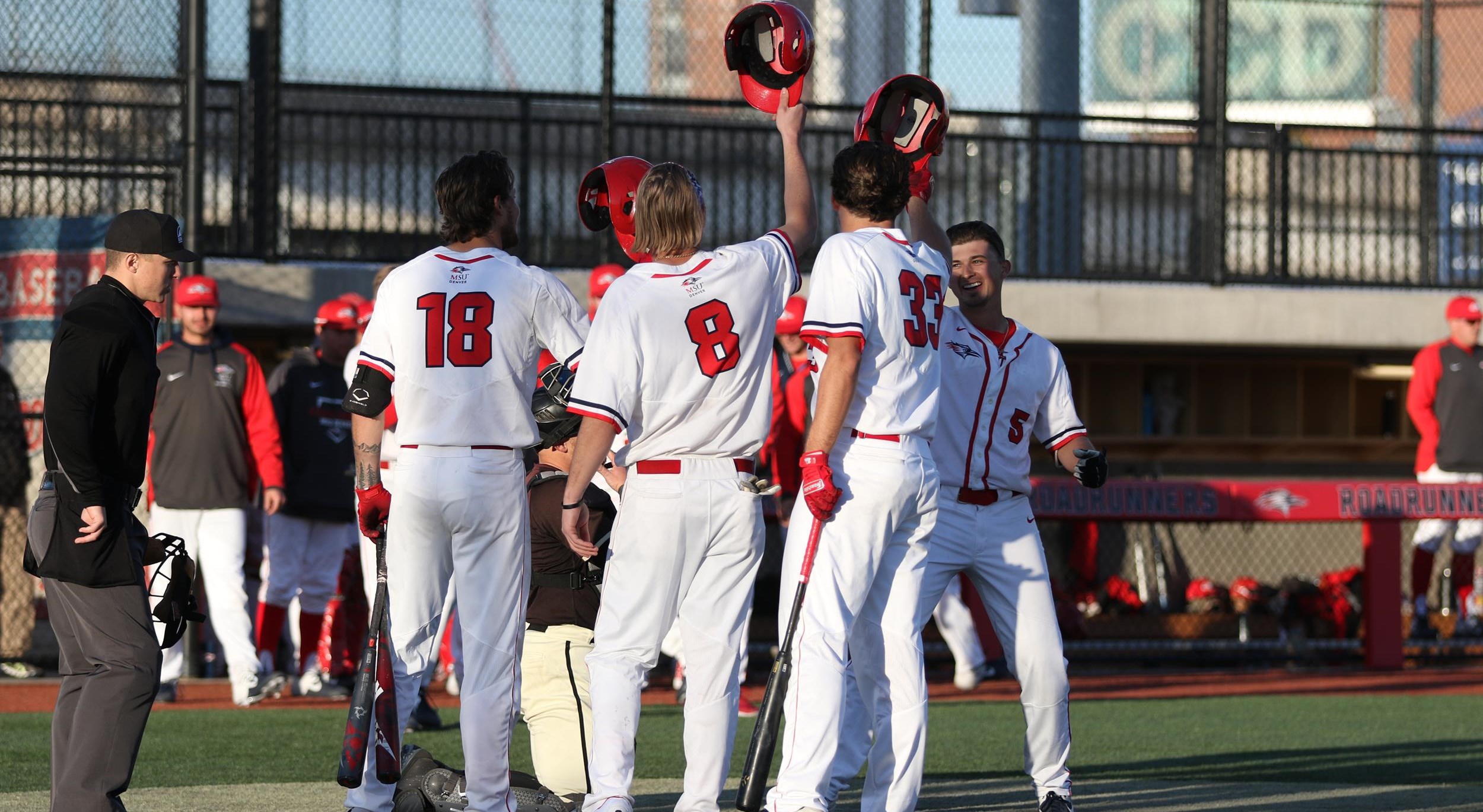 Dylan Nelson - Baseball - MSU Denver Athletics