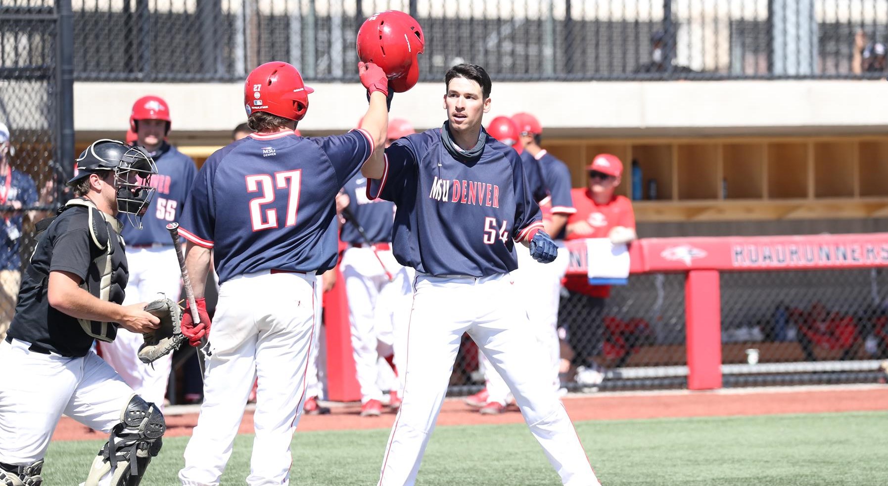 Niko Piazza - Baseball - MSU Denver Athletics