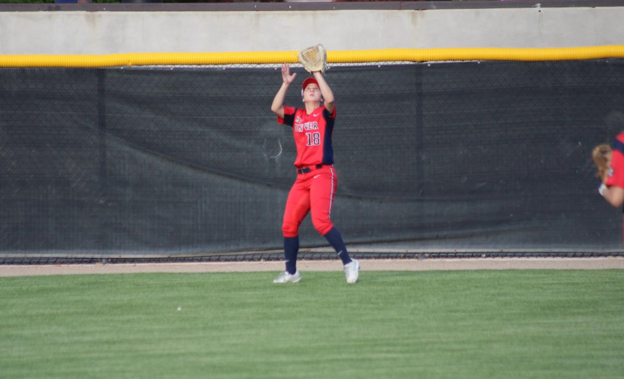 Emily Shreves - Softball - MSU Denver Athletics