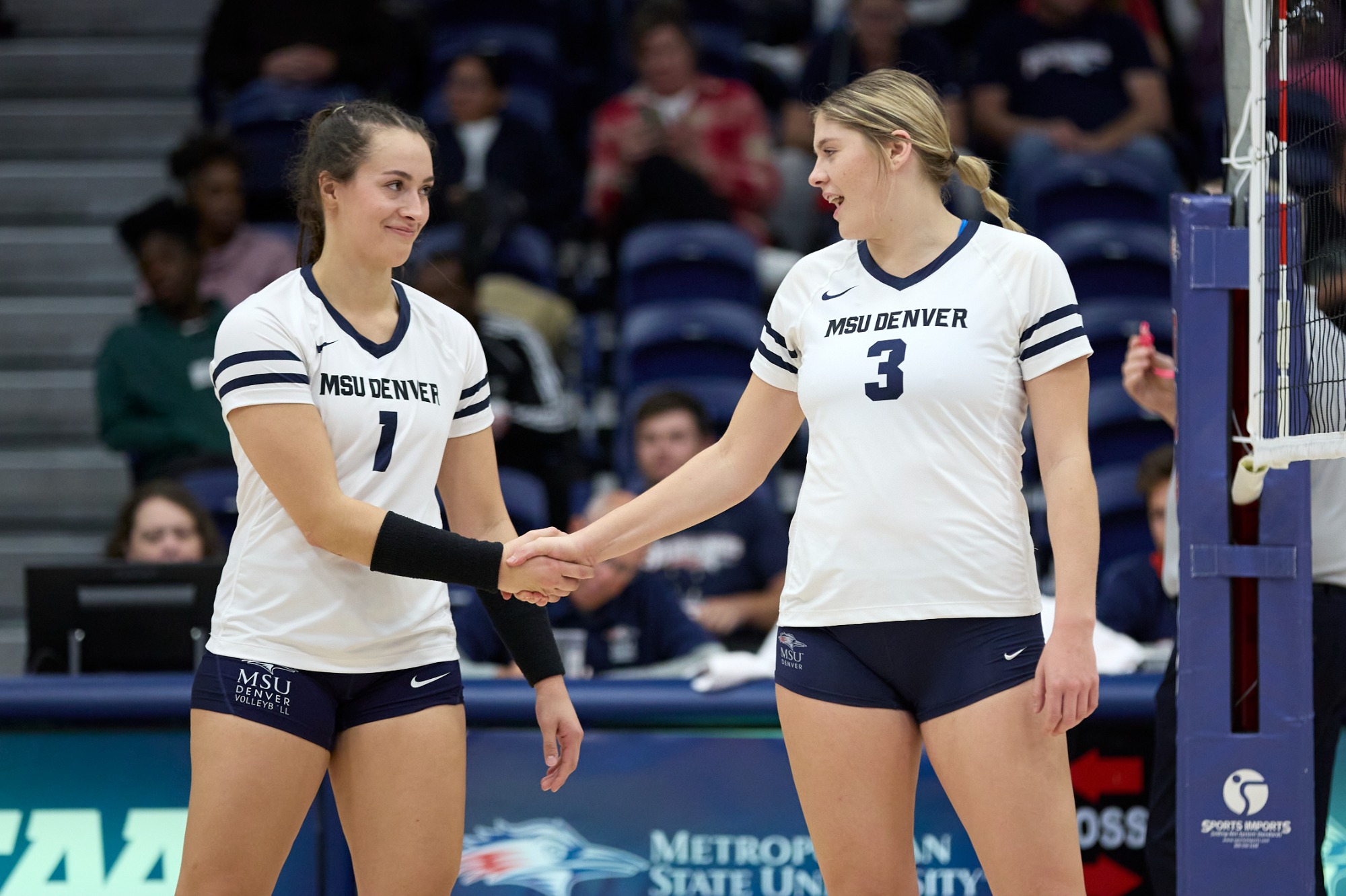 Kaylee Corsentino - Women's Volleyball - MSU Denver Athletics