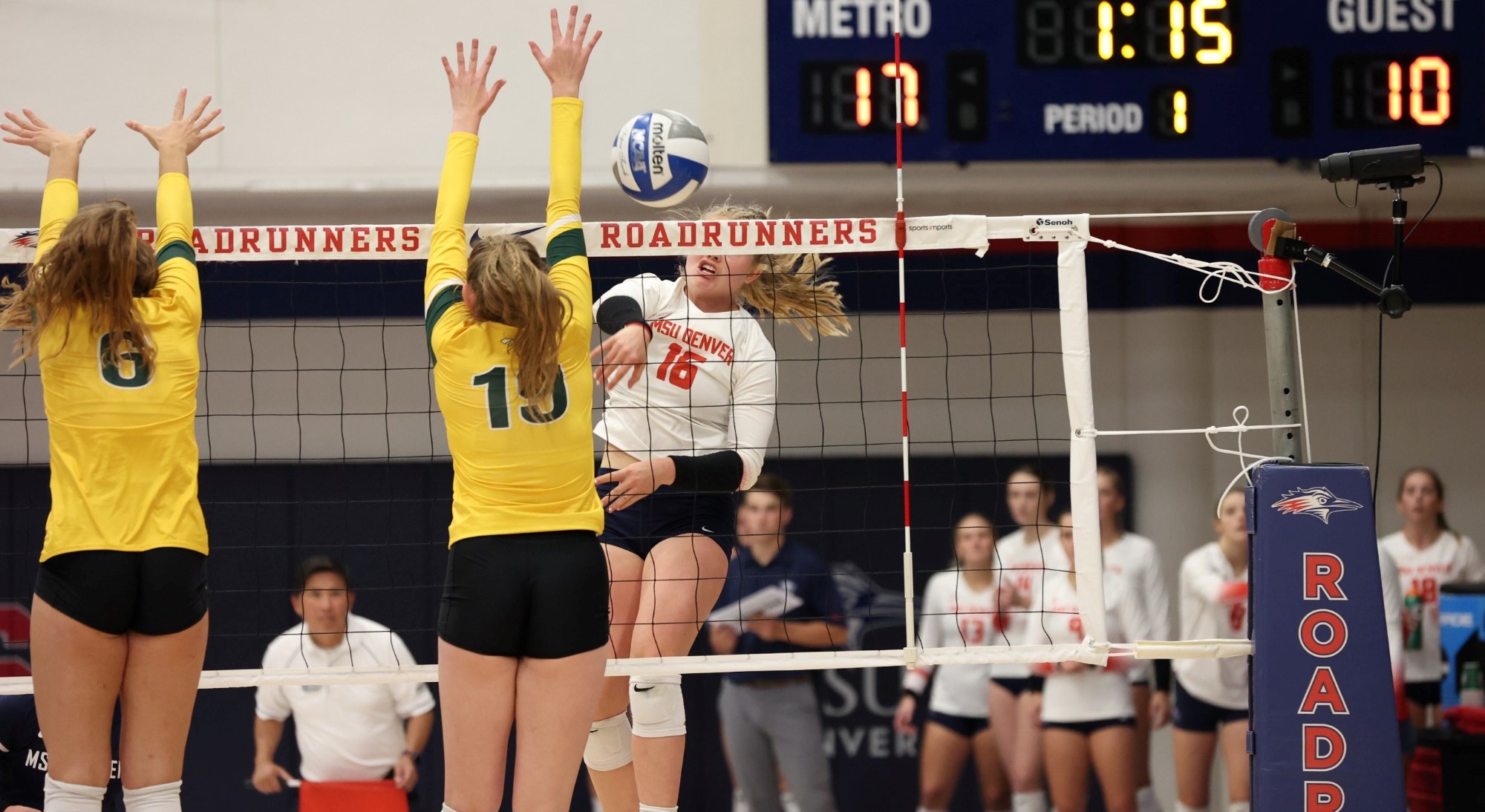 Rylee Hladky - Women's Volleyball - MSU Denver Athletics