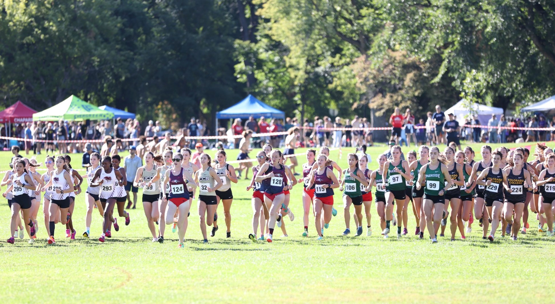 Kendra Painter-Hayes - Women's Cross Country - MSU Denver Athletics