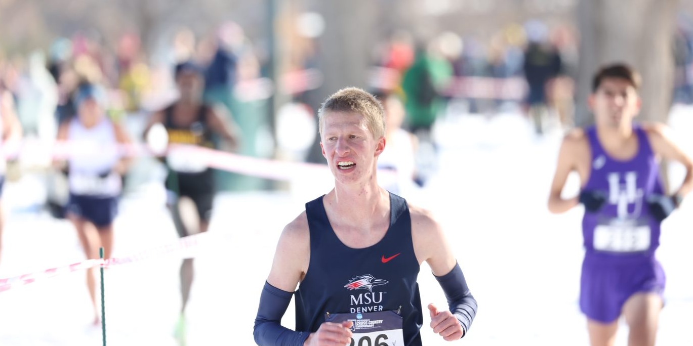 Cory Shea - Men's Cross Country - MSU Denver Athletics