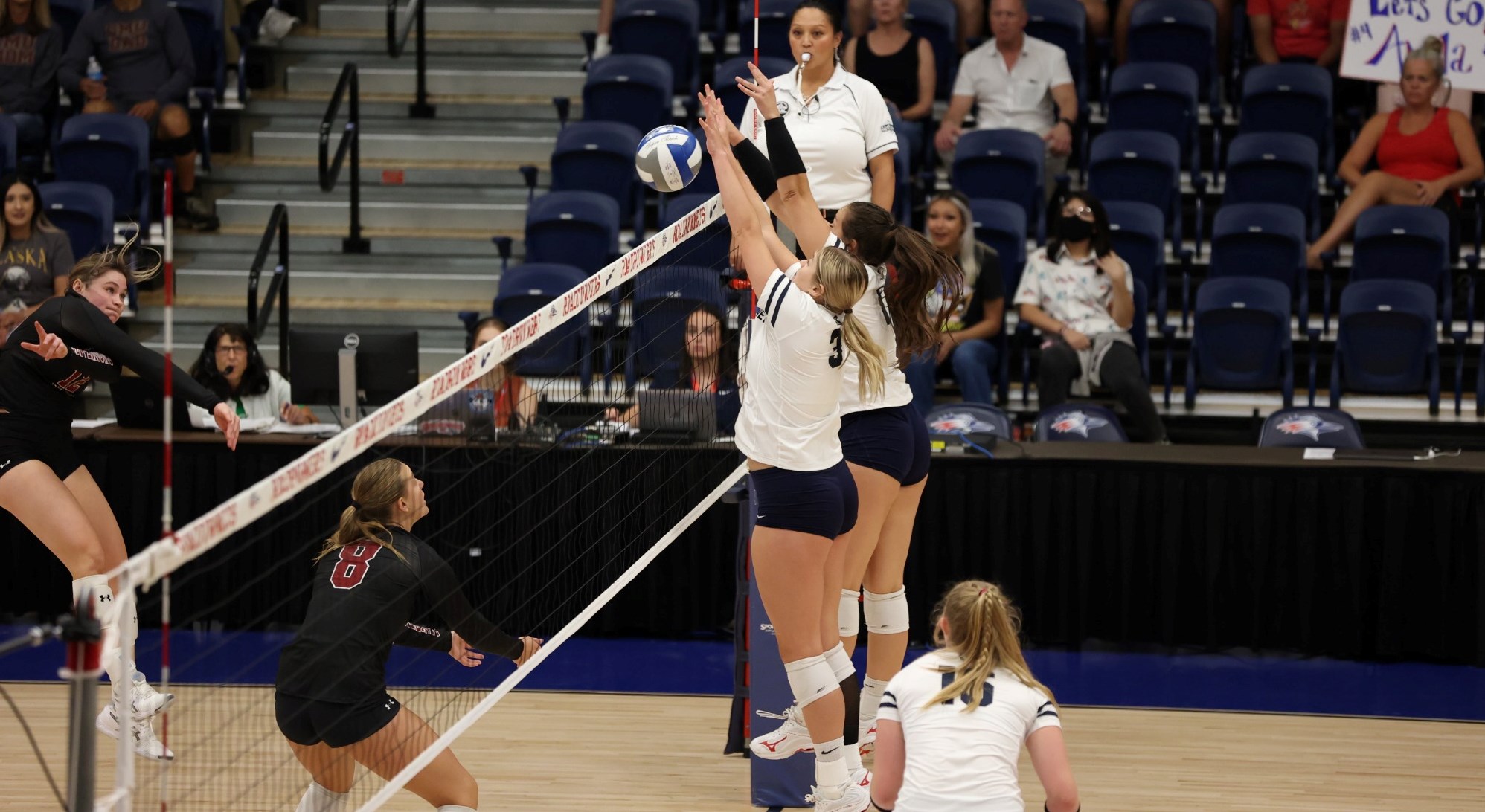 Kaylee Corsentino - Women's Volleyball - MSU Denver Athletics