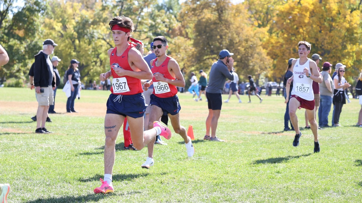 : Cross Country Seasons Set to Start - MSU Denver Athletics