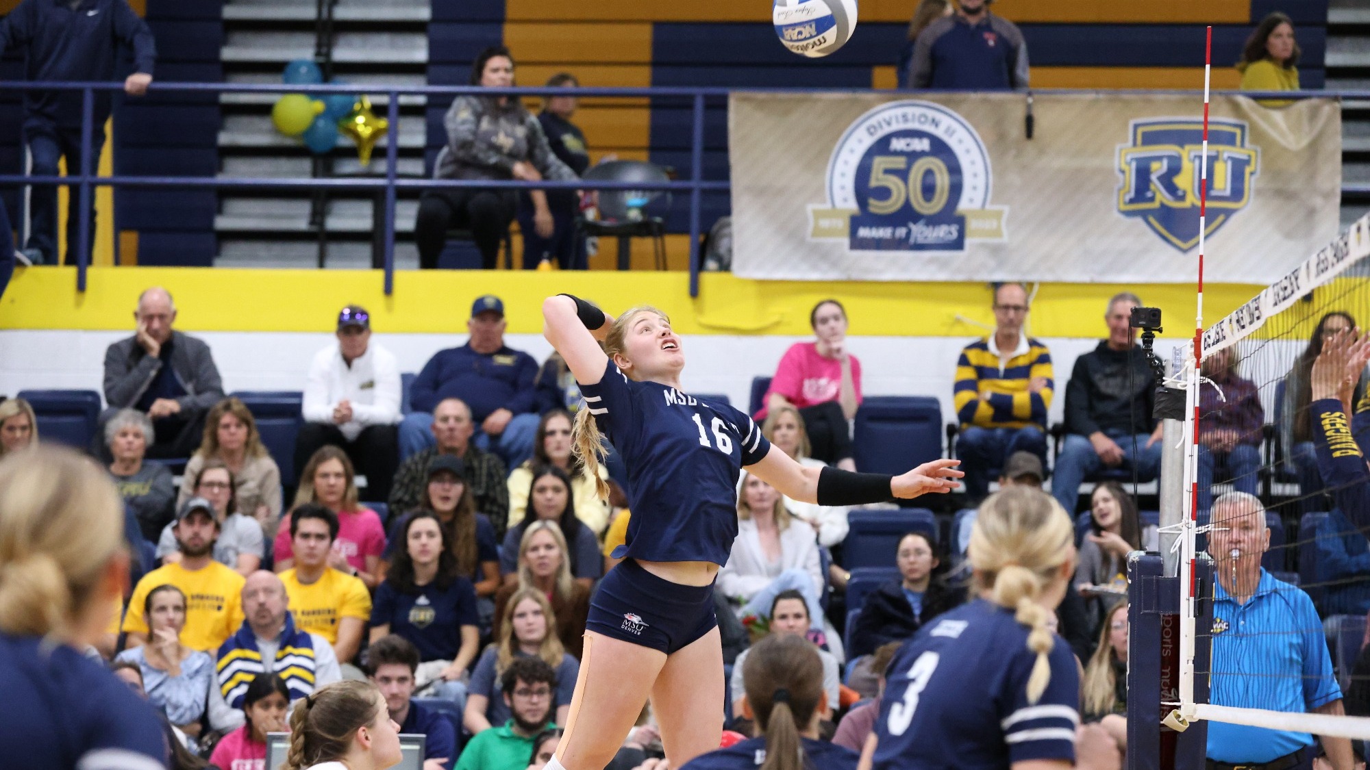Rylee Hladky - Women's Volleyball - MSU Denver Athletics