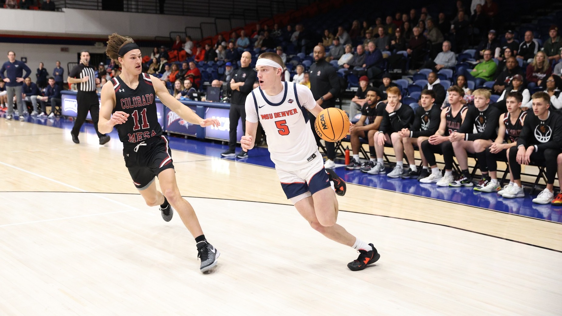 Ryan Maslow - Men's Basketball - MSU Denver Athletics