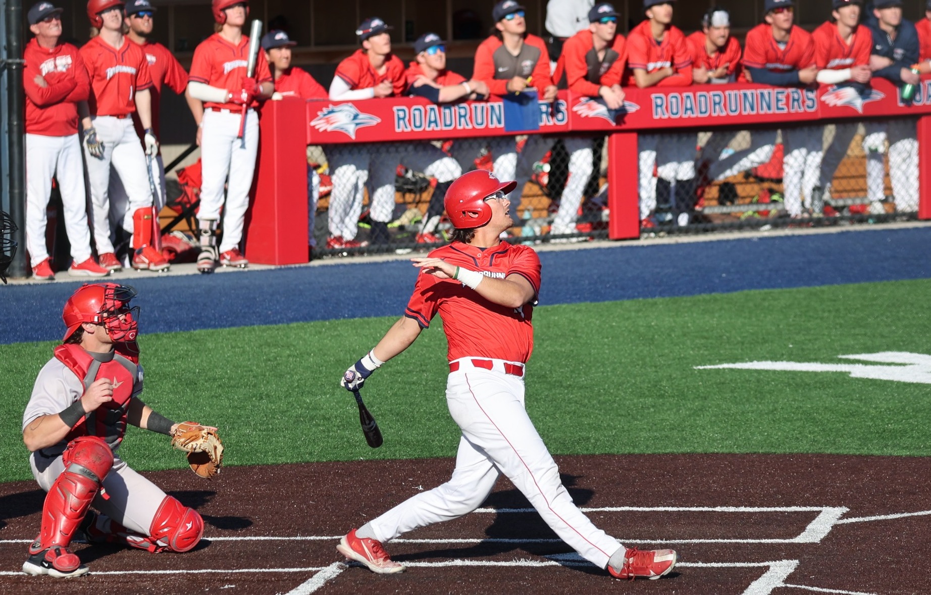 Colin Stone - Baseball - MSU Denver Athletics