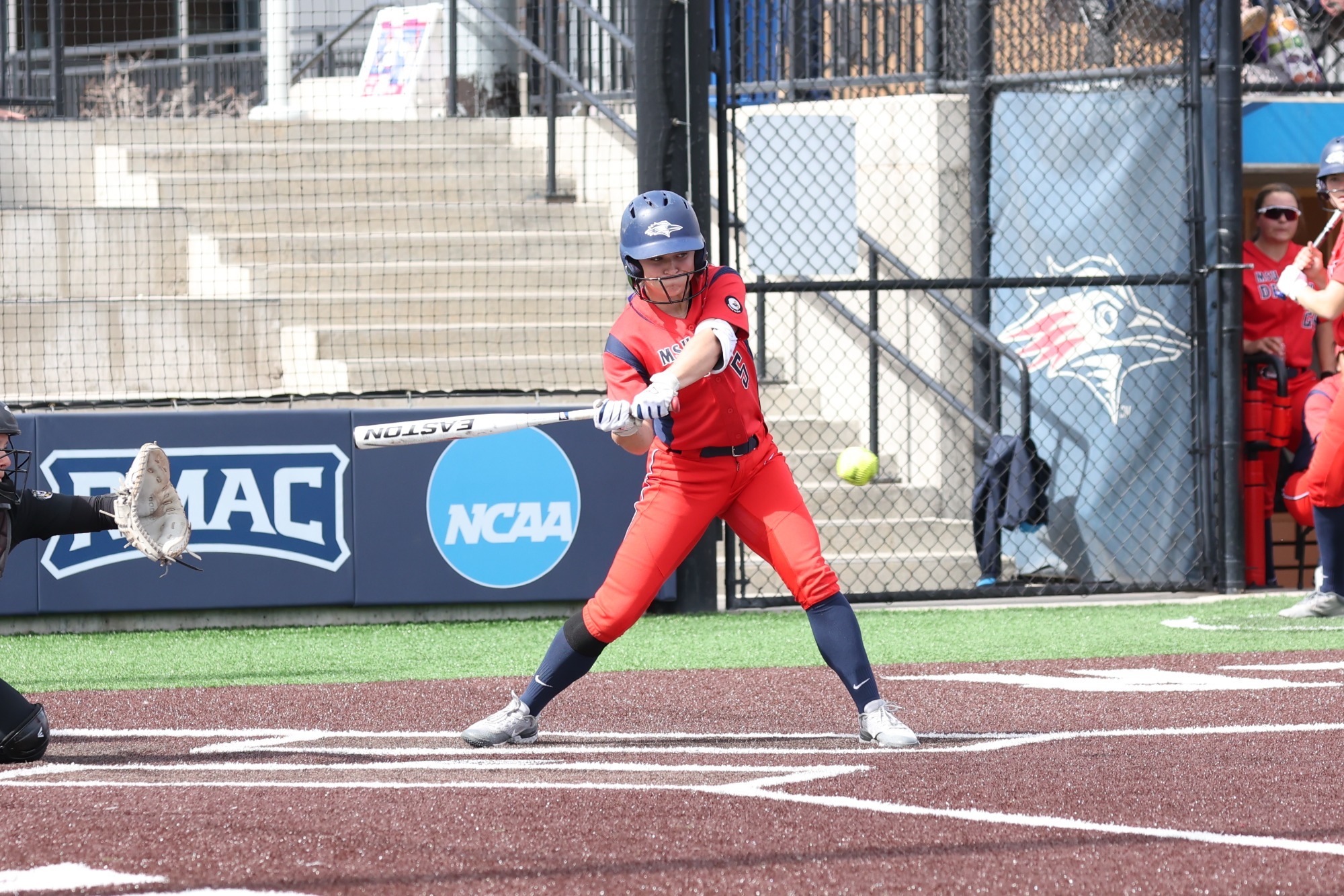 Shelby Robb - Softball - MSU Denver Athletics