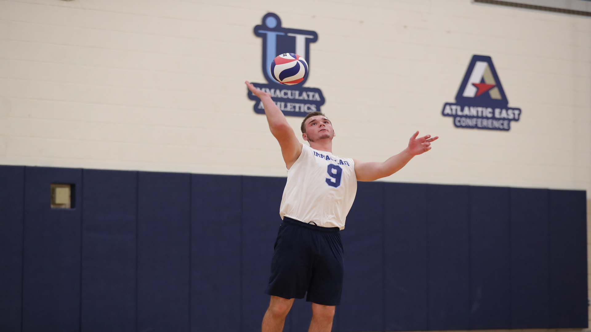 Bryce Wiltbank - Men's Volleyball - Immaculata University Athletics